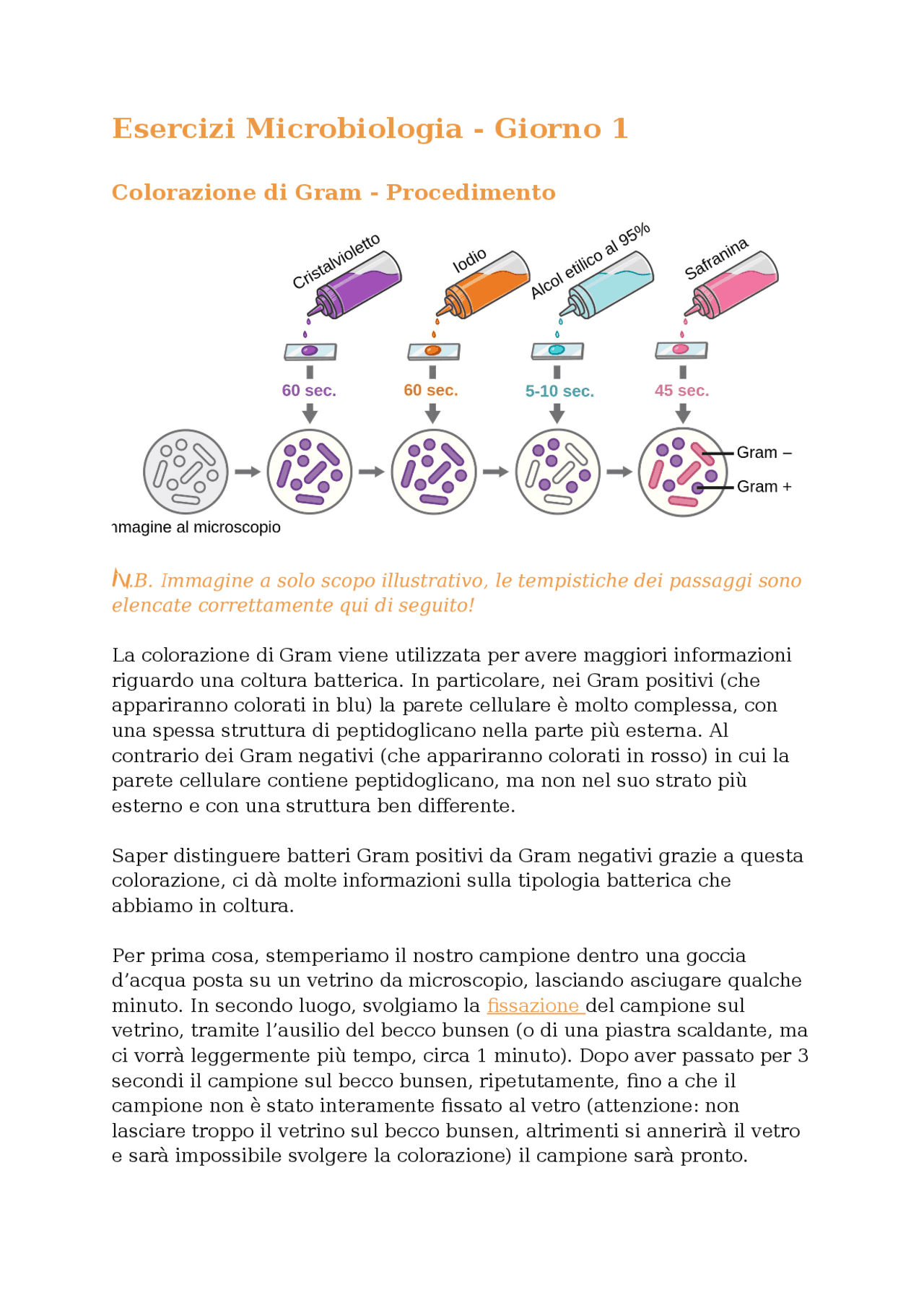 Esercizi Laboratorio Microbiologia | Esercizi di Microbiologia | Docsity