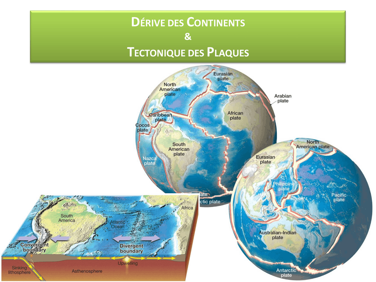 Cours Tectonique Des Plaques Schemes And Mind Maps Geology Docsity