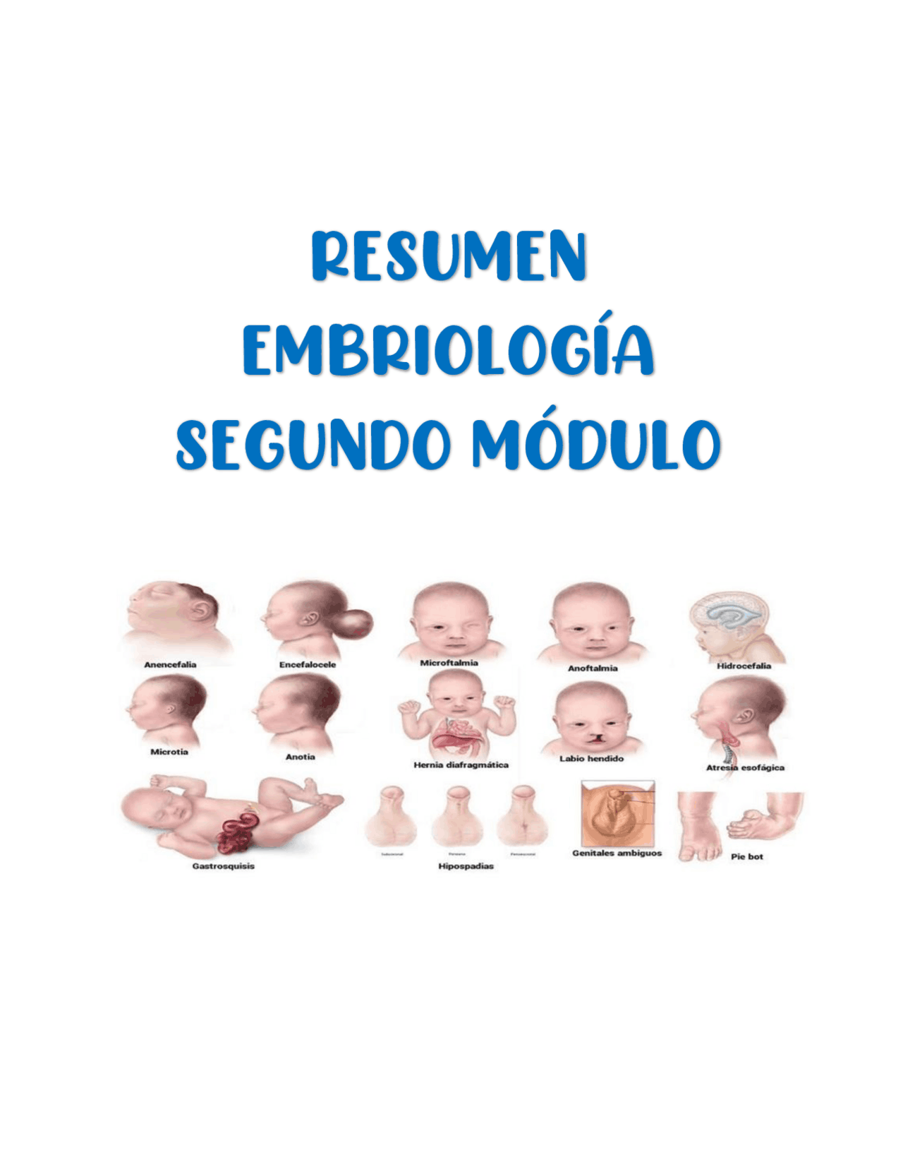 Resumen embriológia modulos | Esquemas y mapas conceptuales de ...