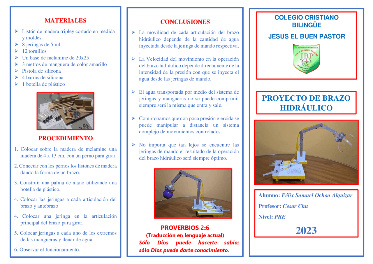 PROYECTO BRAZO HIDRÁULICO | Resúmenes de Física | Docsity