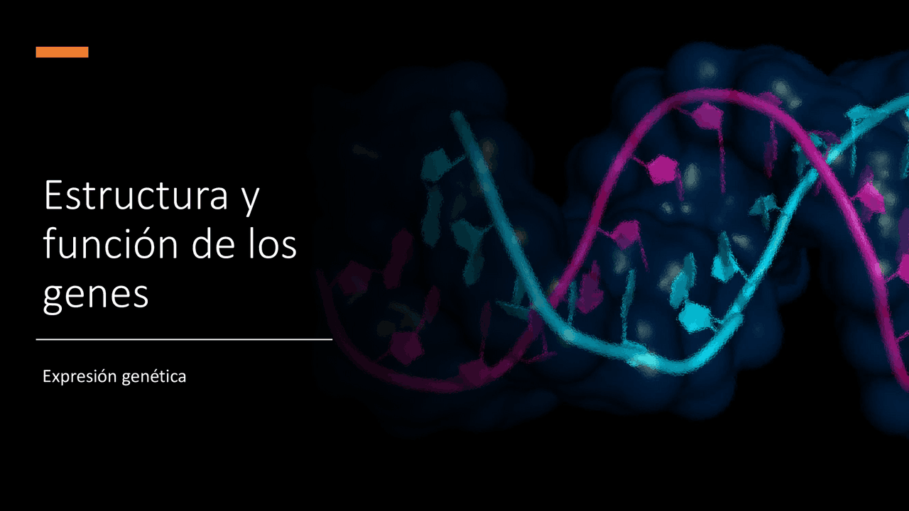 FUNCION Y ESTRUCTURA DE LOS GENES | Diapositivas de Genética | Docsity