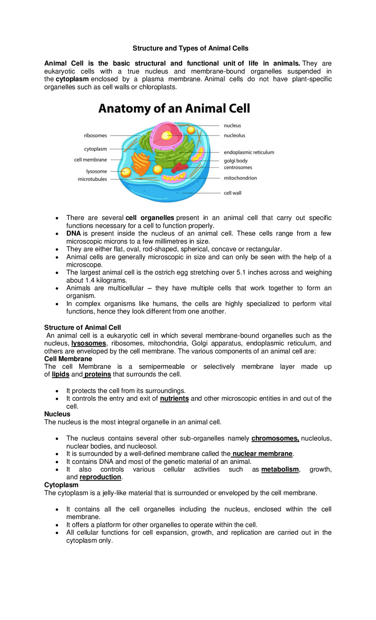 Animal Cell Structure Function And Types Of Animal Cell Microbe