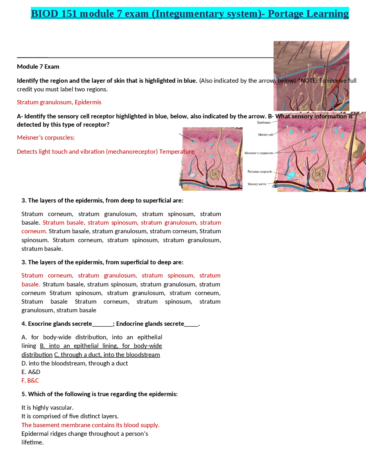 BIOD 151 module 7 exam (Integumentary system)- Portage Learning | Exams ...