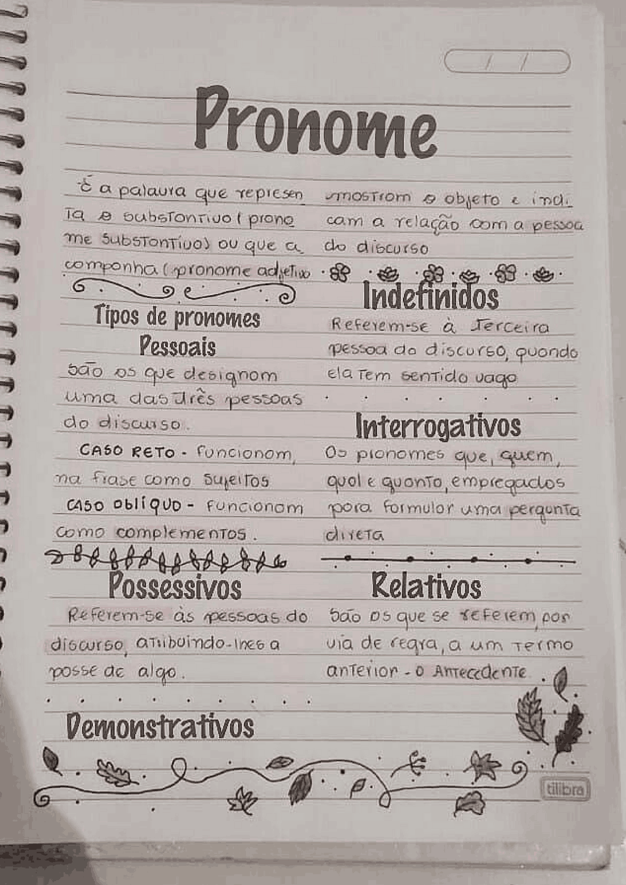 Pronomes Tipos E Exemplos