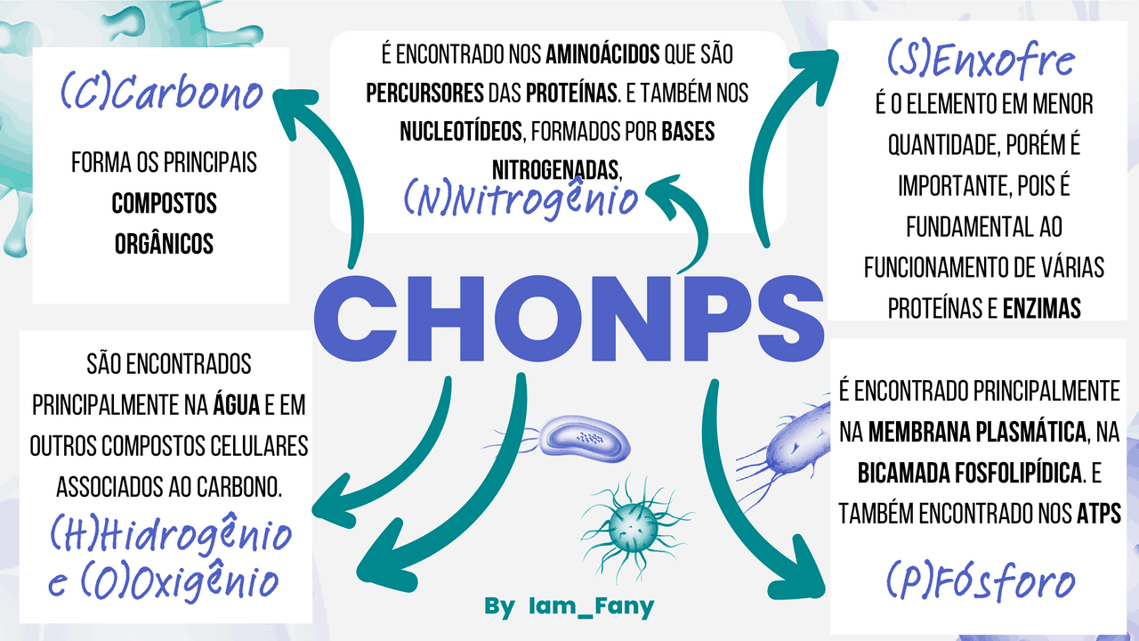 Composição Química dos Seres Vivos I | Esquemas Biologia | Docsity