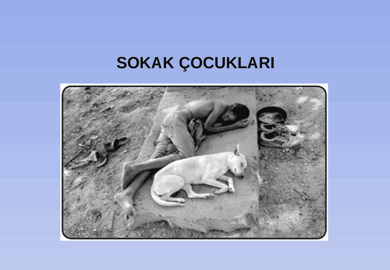 The Concept of Street Children: Definition, Characteristics, and Causes ...
