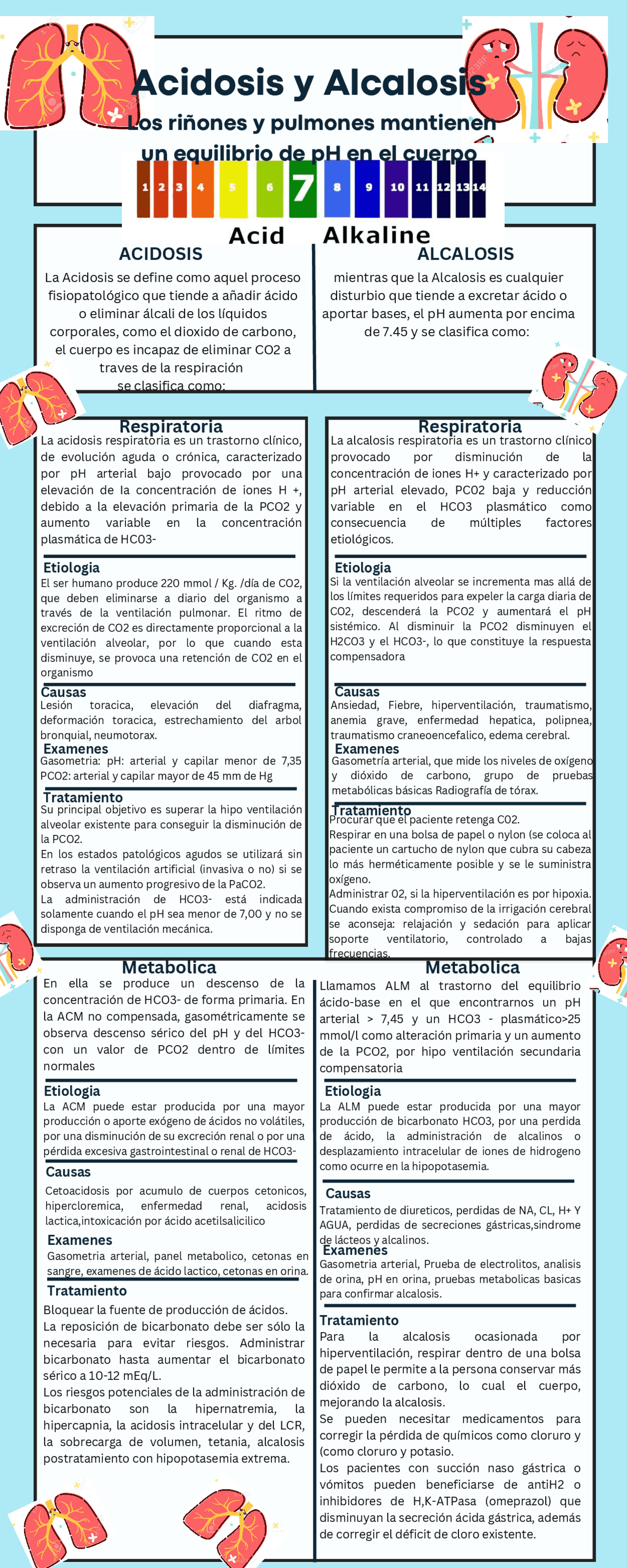 Hoja De Trabajo Sobre Alcalosis Respiratoria