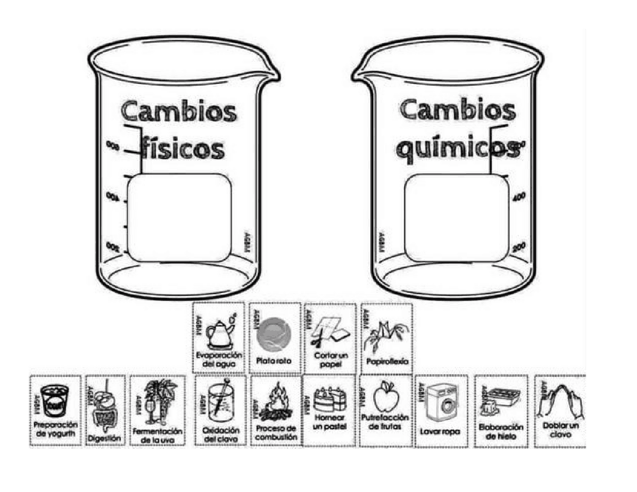 Cambios fìsicos y quìmicos de la materia | Resúmenes de Química | Docsity