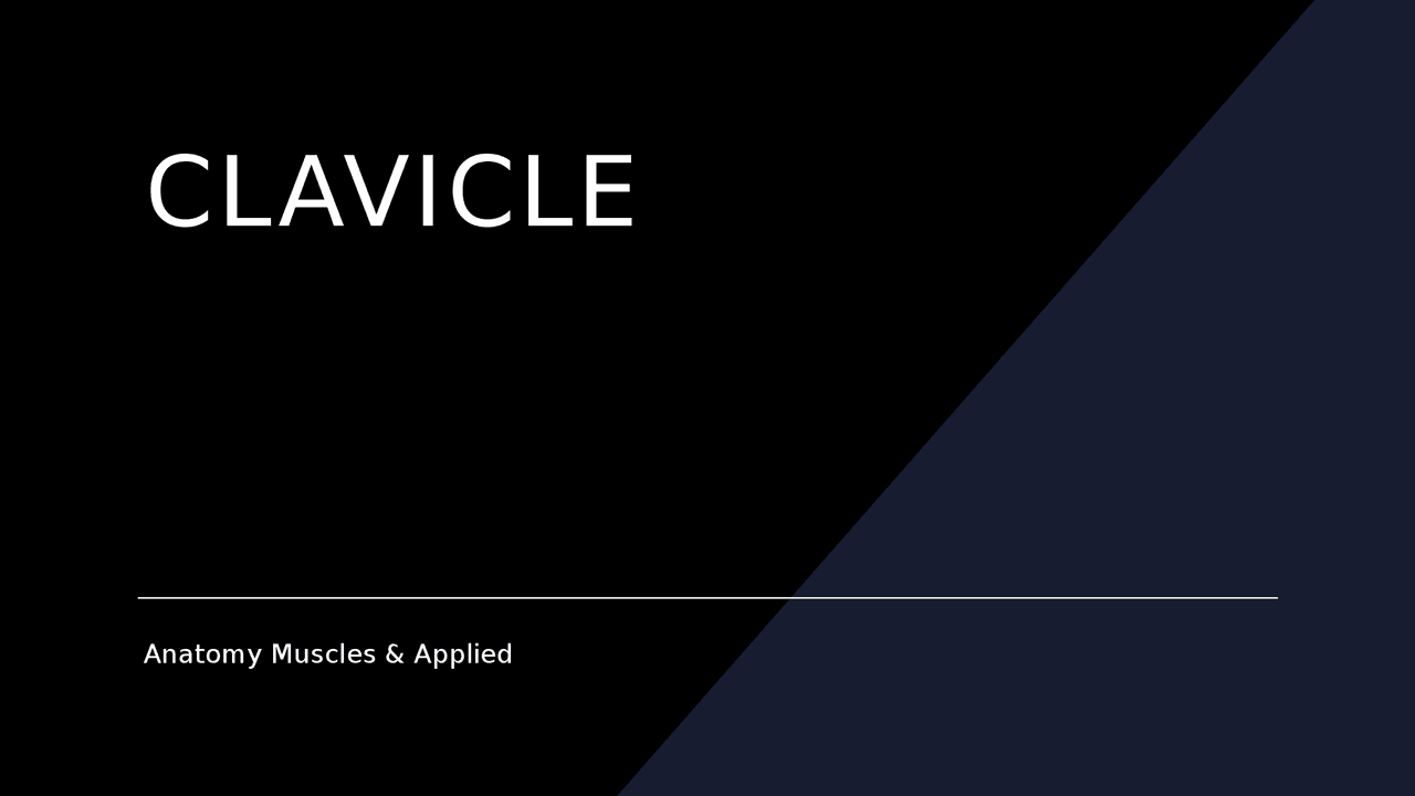 Anatomy of Clavicle Human Anatomy Basics Of human Anatomy Clavicle ...