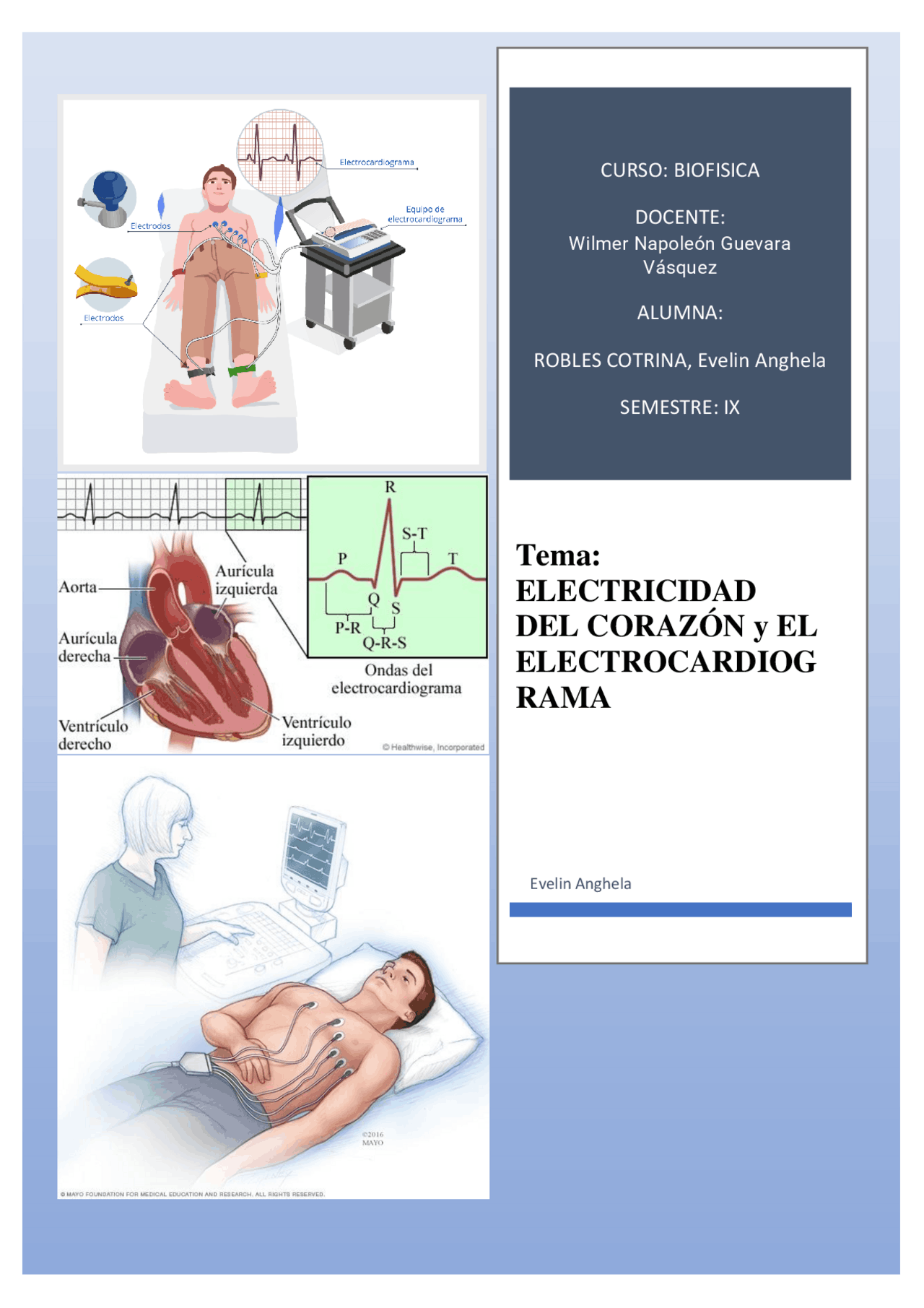 Electricidad del Corazón y Electrocardiograma: Funcionamiento, Prueba y ...