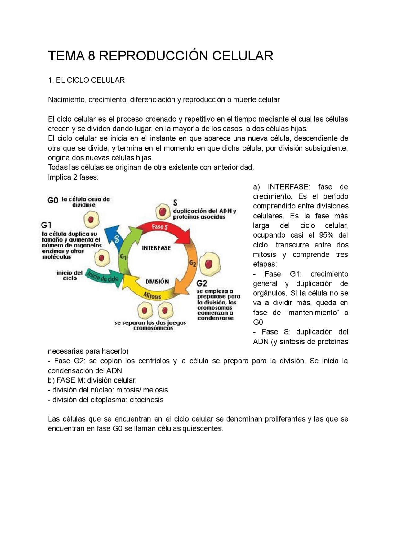 Reproducción Celular: Ciclo Celular, Replicación del ADN y División Celular | Resúmenes de ...
