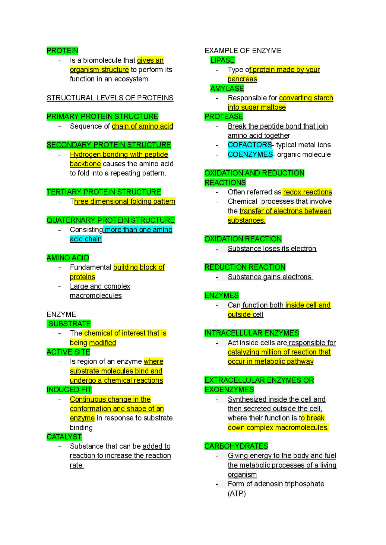 Proteins, Enzymes, Carbohydrates, Lipids, and Nucleic Acids | Study ...
