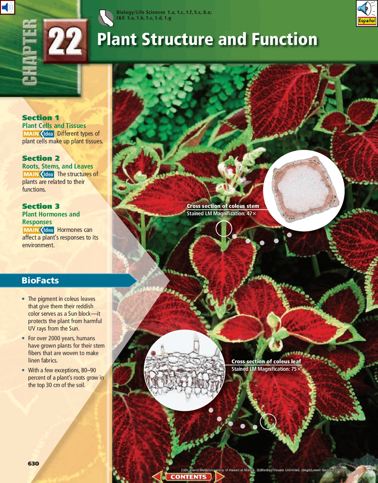 Plant Cells and Tissues: Types, Functions, and Differences | Essays ...