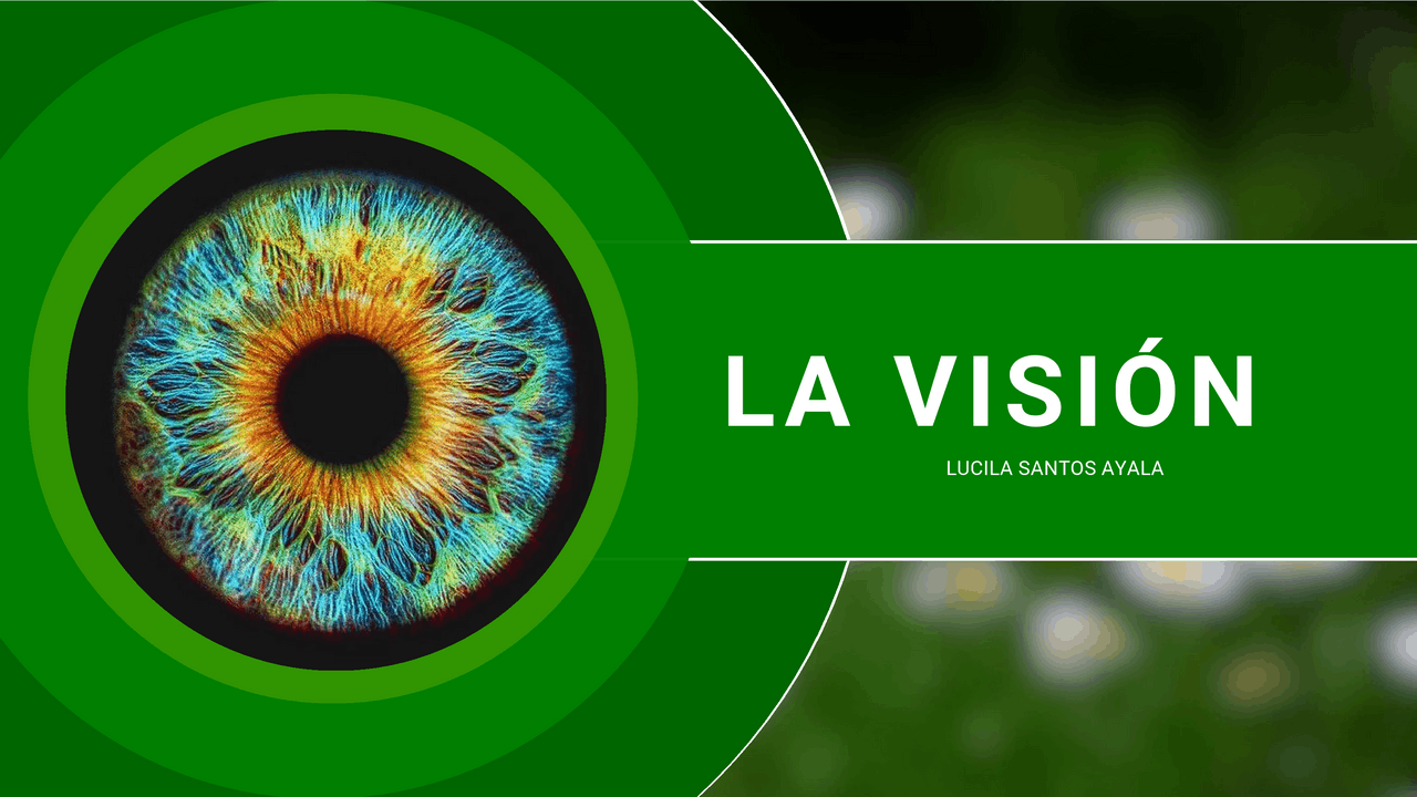 Funcionamiento del Sentido de la Visión: Anatomía y Fisiología del Ojo ...