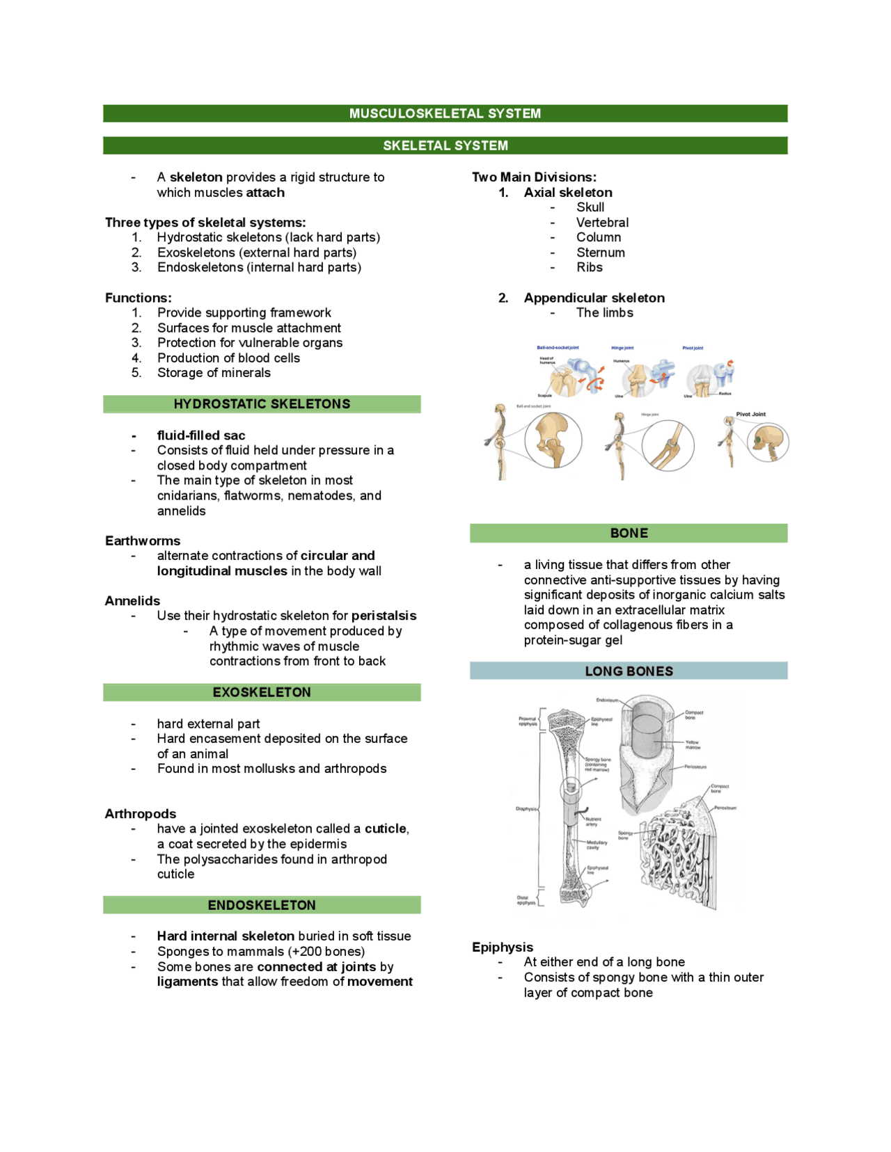Musculoskeletal System Skeletal System | Lecture notes Human Biology ...