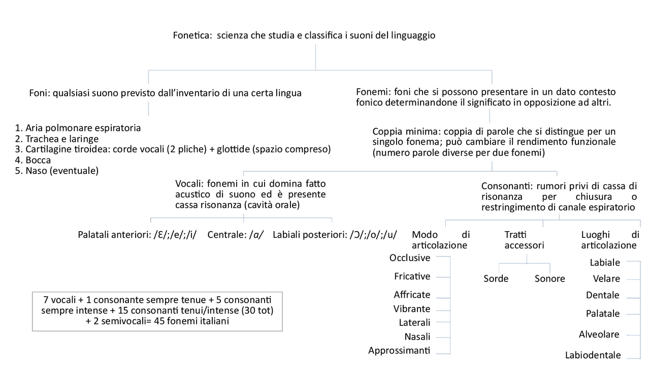 Fonemi e evoluzione della lingua italiana: dalla latinità al volgare ...