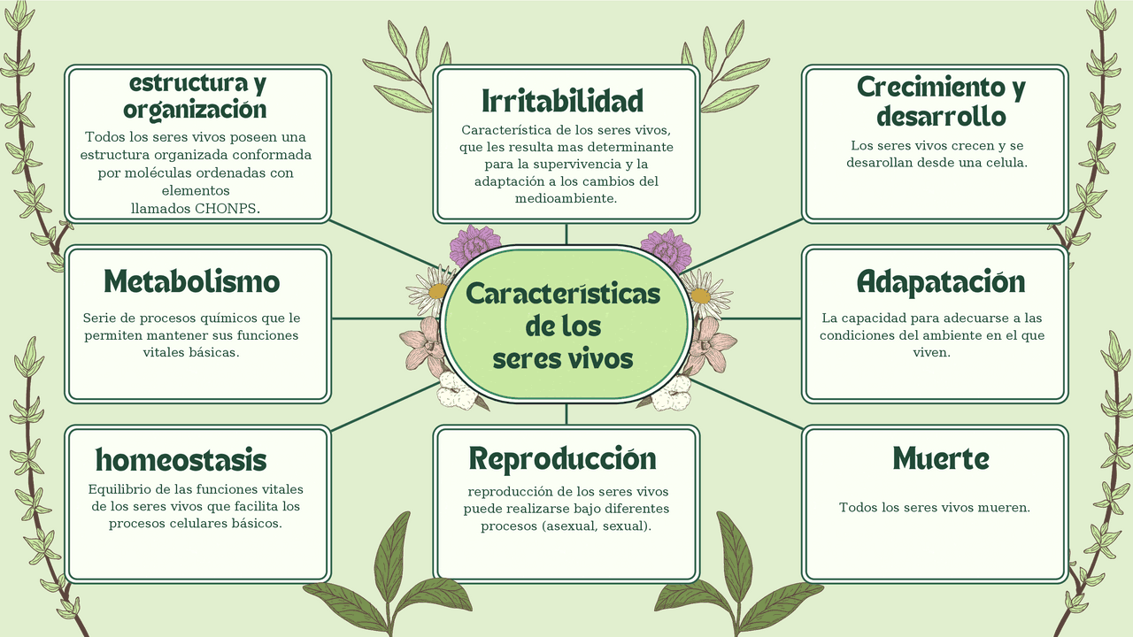 Caracteristicas De Los Seres Vivos Características De Los Seres Vivos