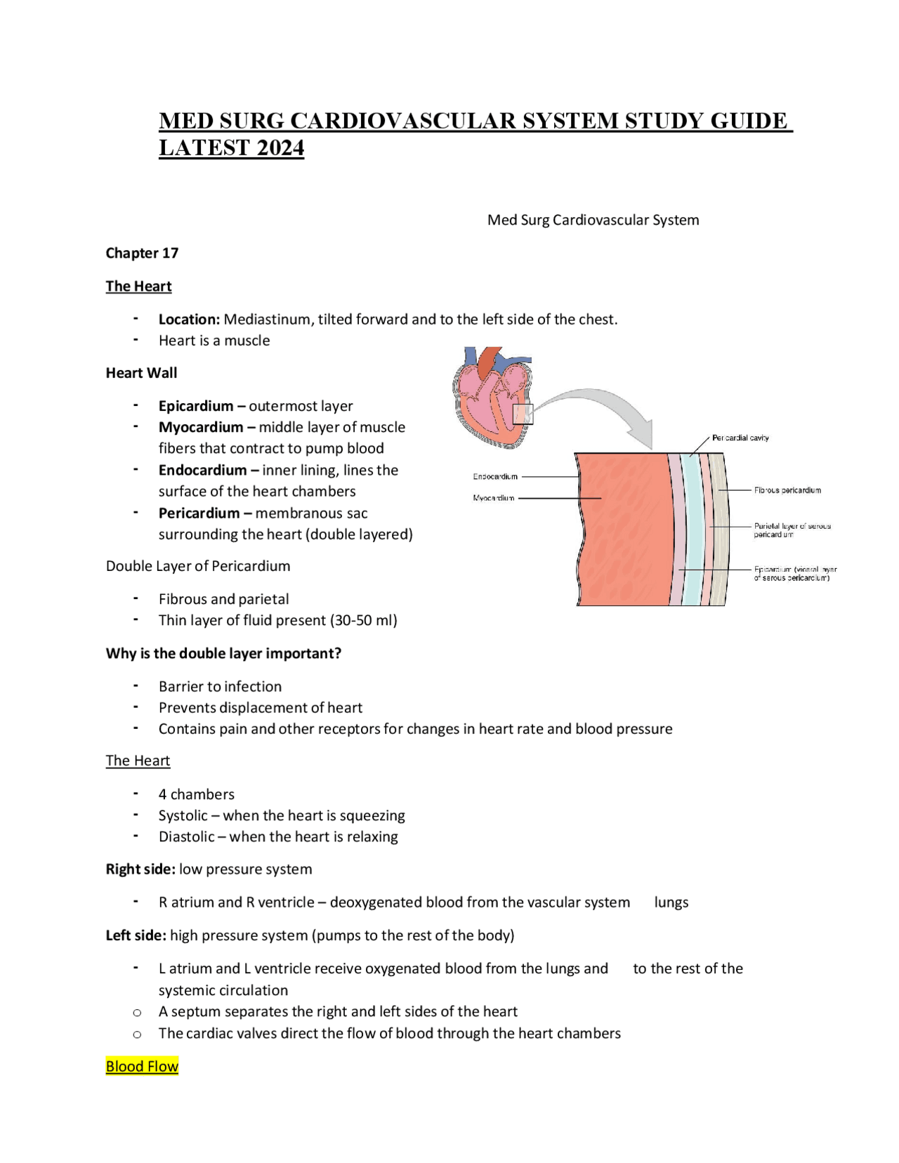 MED SURG CARDIOVASCULAR SYSTEM STUDY GUIDE LATEST 2024 | Study Guides ...