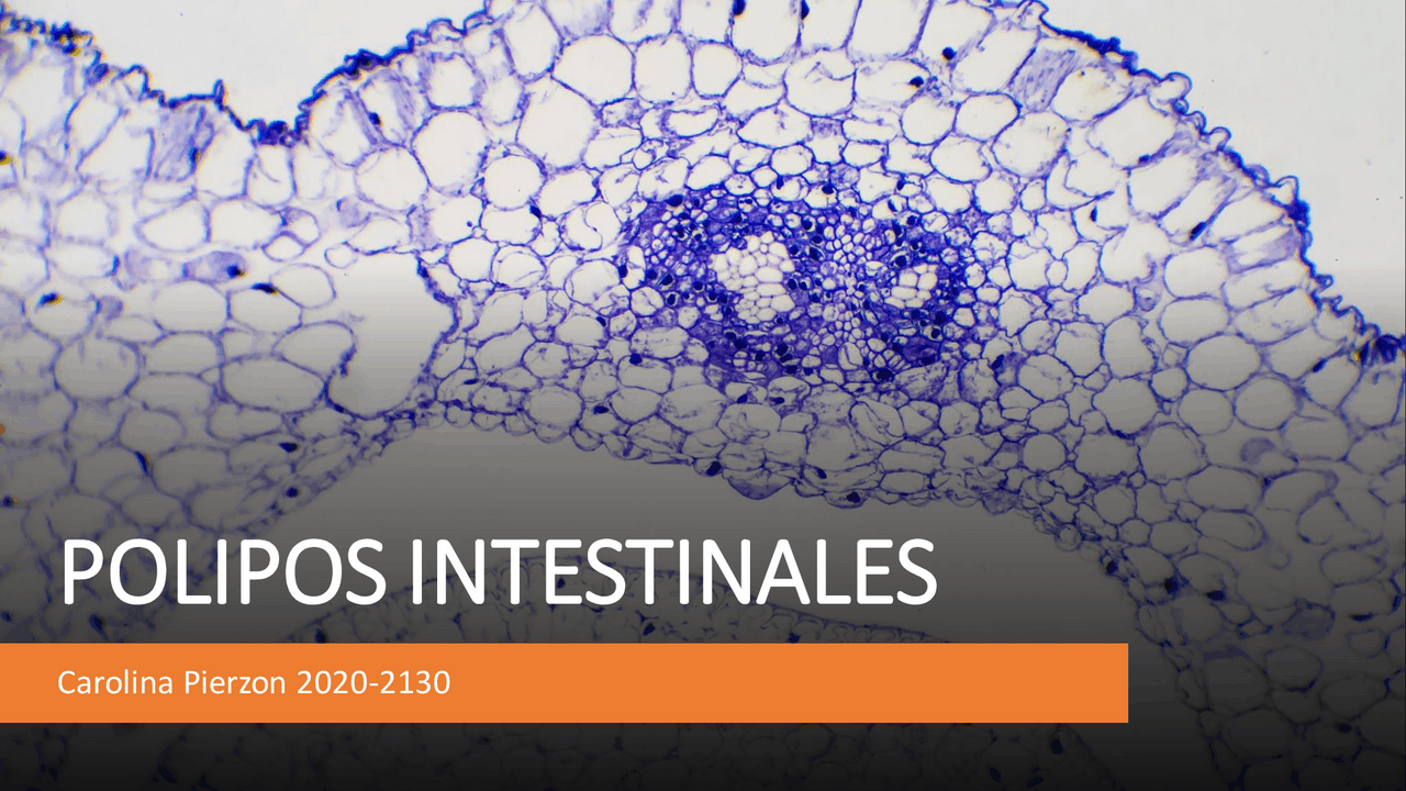 Polipos Intestinales: Tipos, Clasificación y Patología | Diapositivas ...
