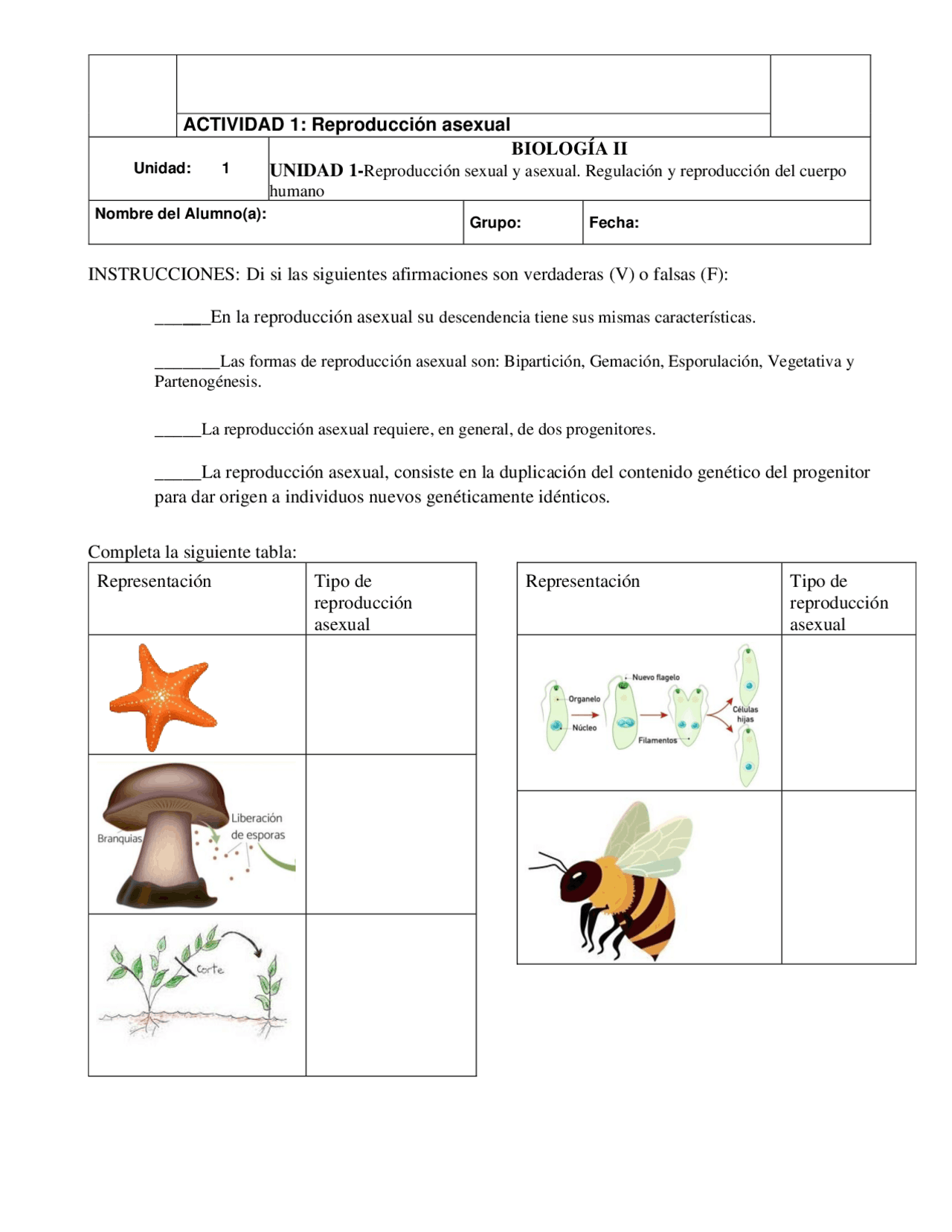 Reproducción sexual y asexual. Regulación y reproducción del cuerpo ...