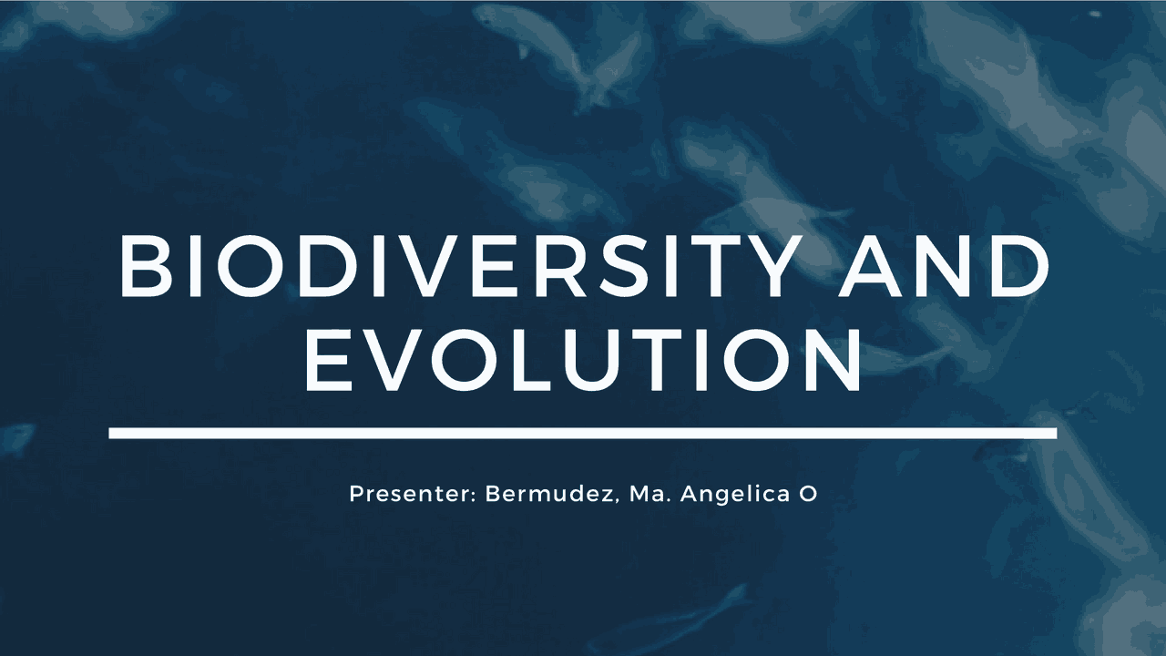 Biodiversity and Evolution: Understanding Species Richness and ...