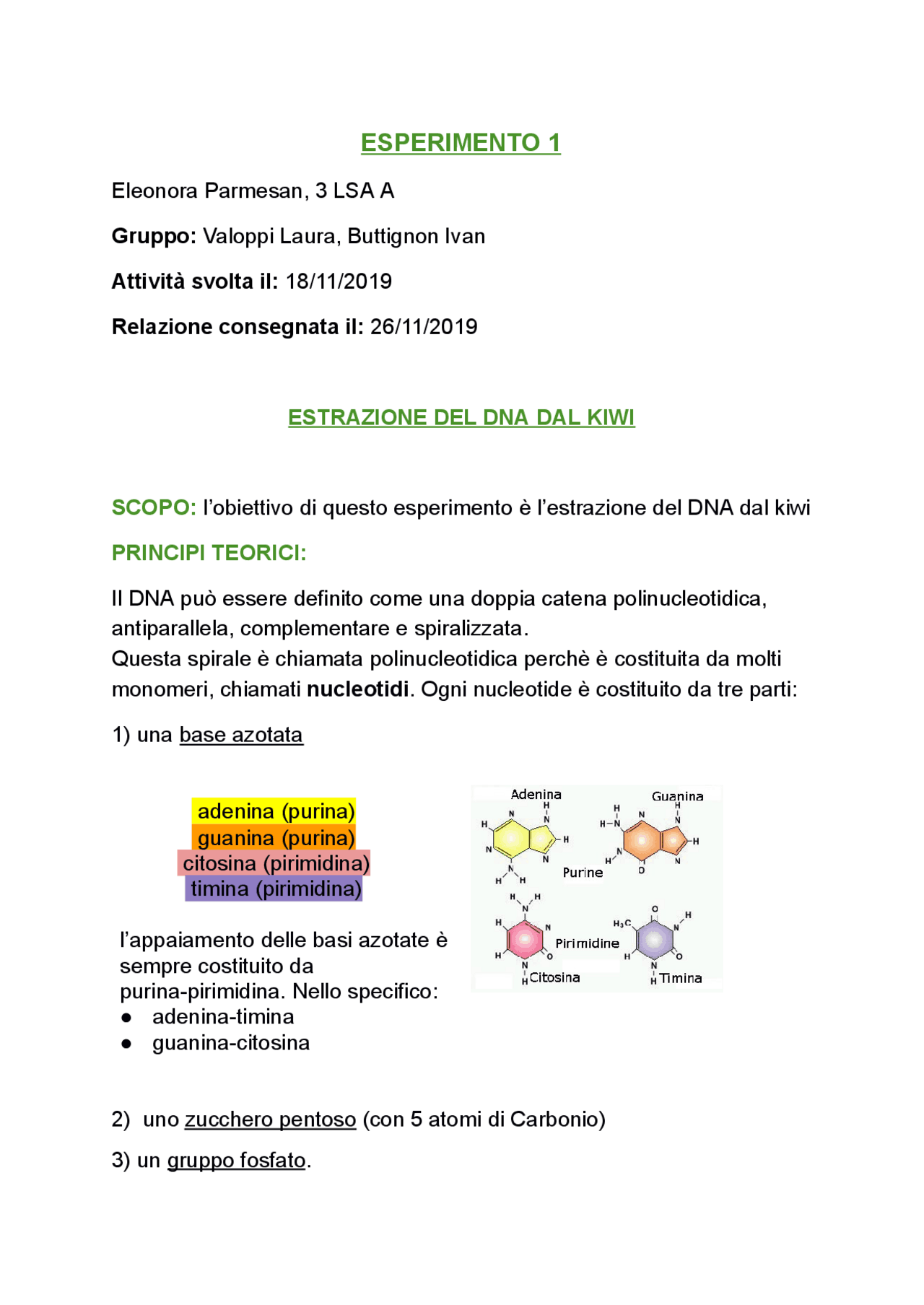 relazione sull'estrazione del DNA | Schemi e mappe concettuali di ...