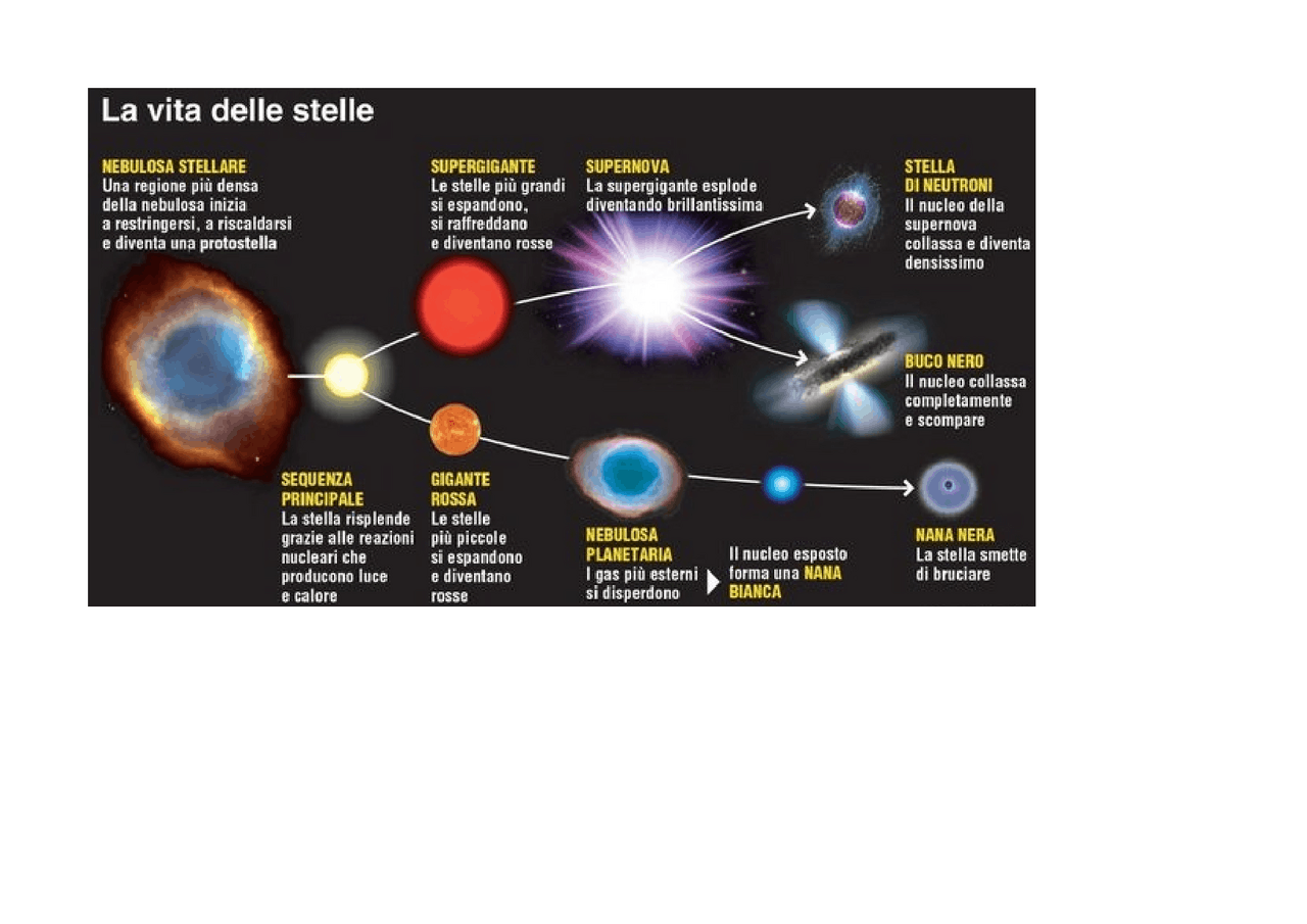 Schema Della Stella Della Vita Stella A Cinque Punte Immagini E