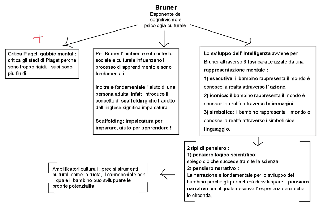 Schema sintetico ed esaustivo Bruner (scaffolding, sviluppo ...