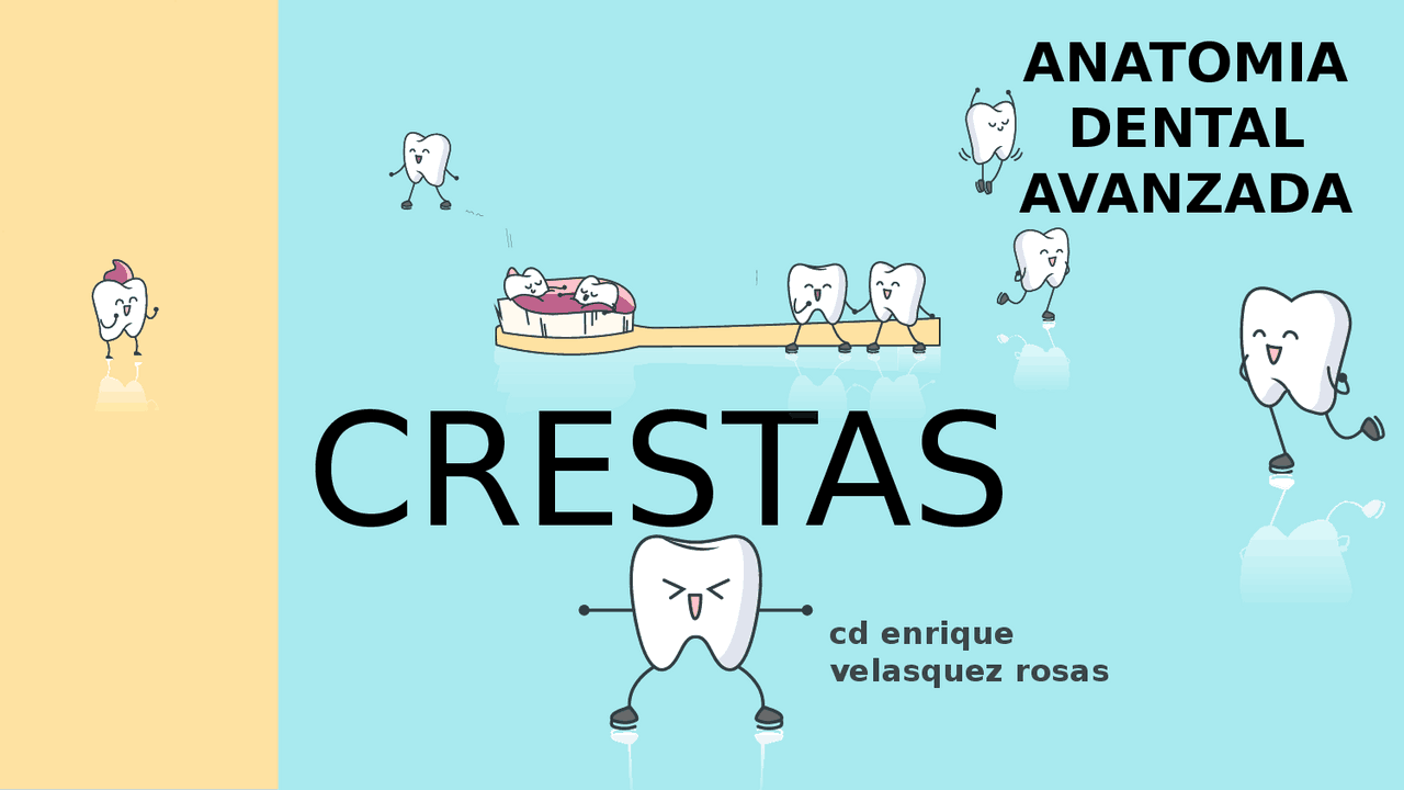 anatomía dental (cresta, eminencia, arista, vertiente) | Esquemas y ...