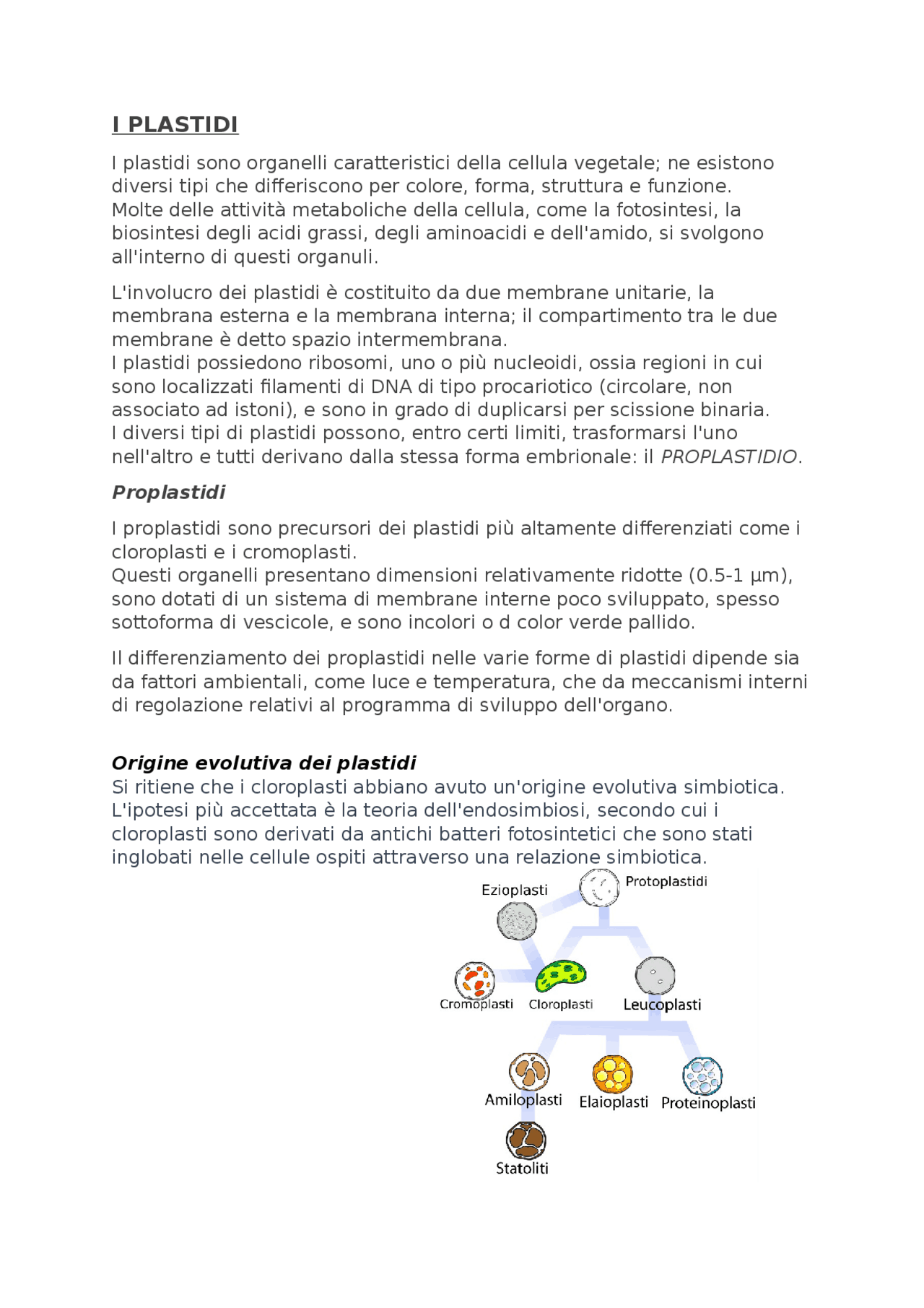 I plastidi - Cellula vegetale | Appunti di Botanica Generale | Docsity