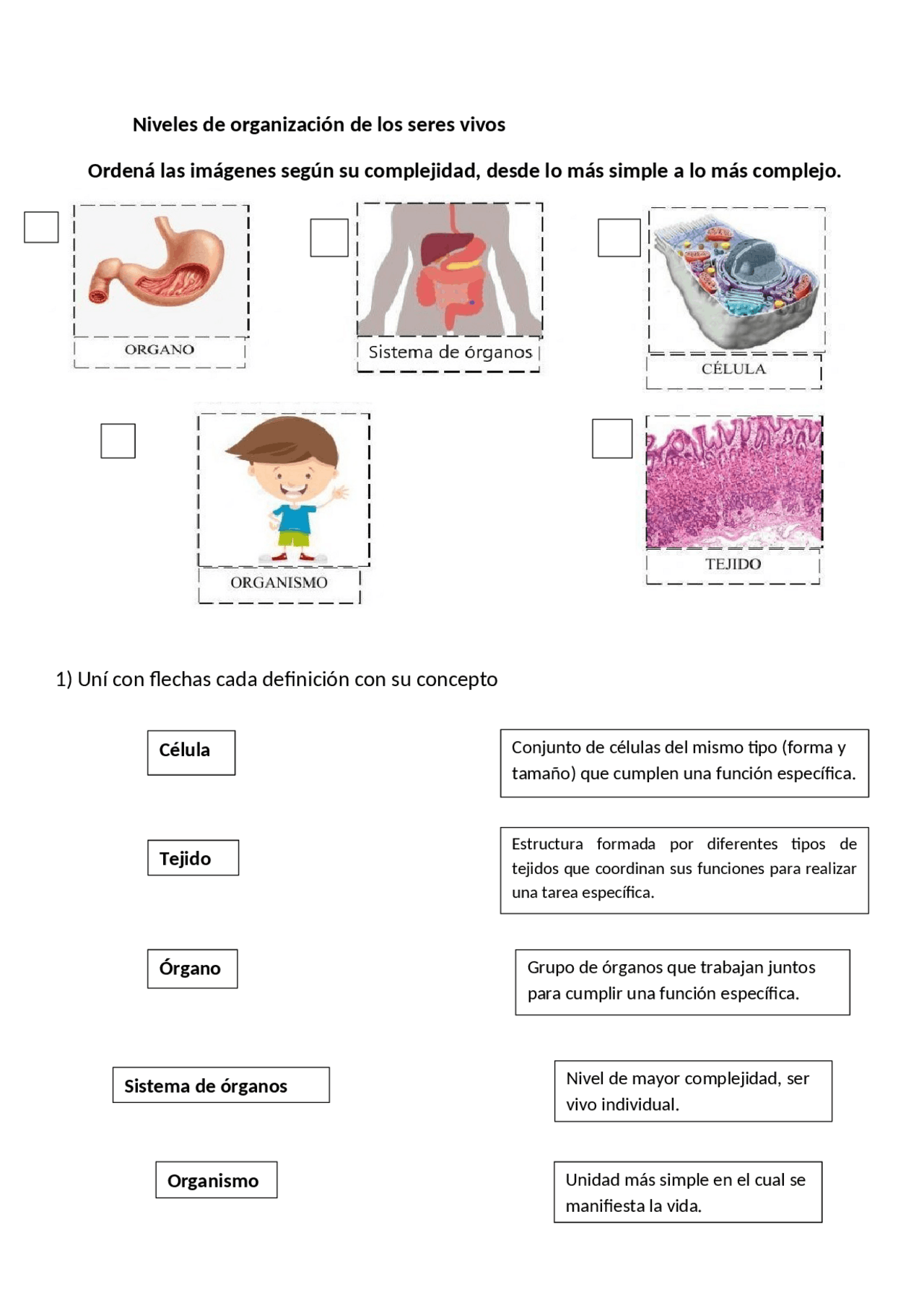 Organización de los seres vivos | Ejercicios de Biología | Docsity