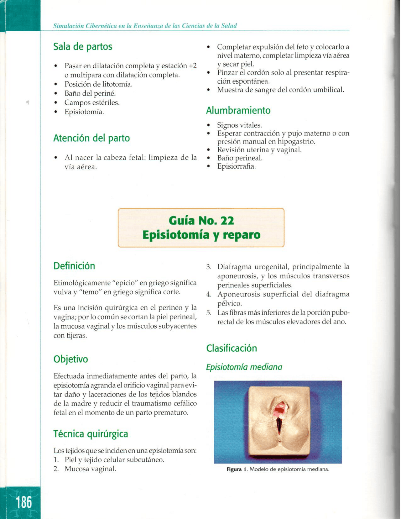 Episiotomia y reparo anatómico | Apuntes de Ginecología | Docsity