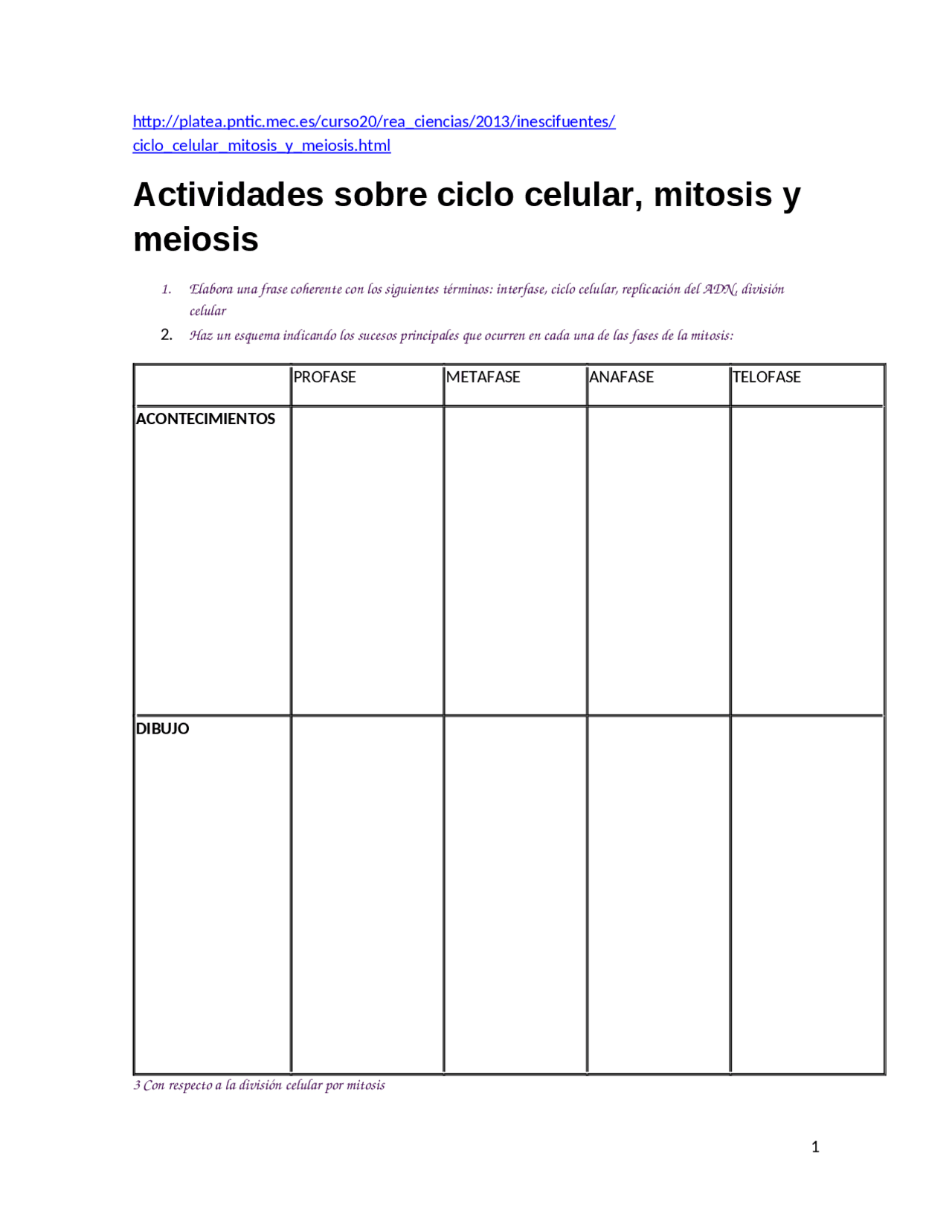 Respuestas De La Hoja De Trabajo Sobre Las Fases De La Mitosis