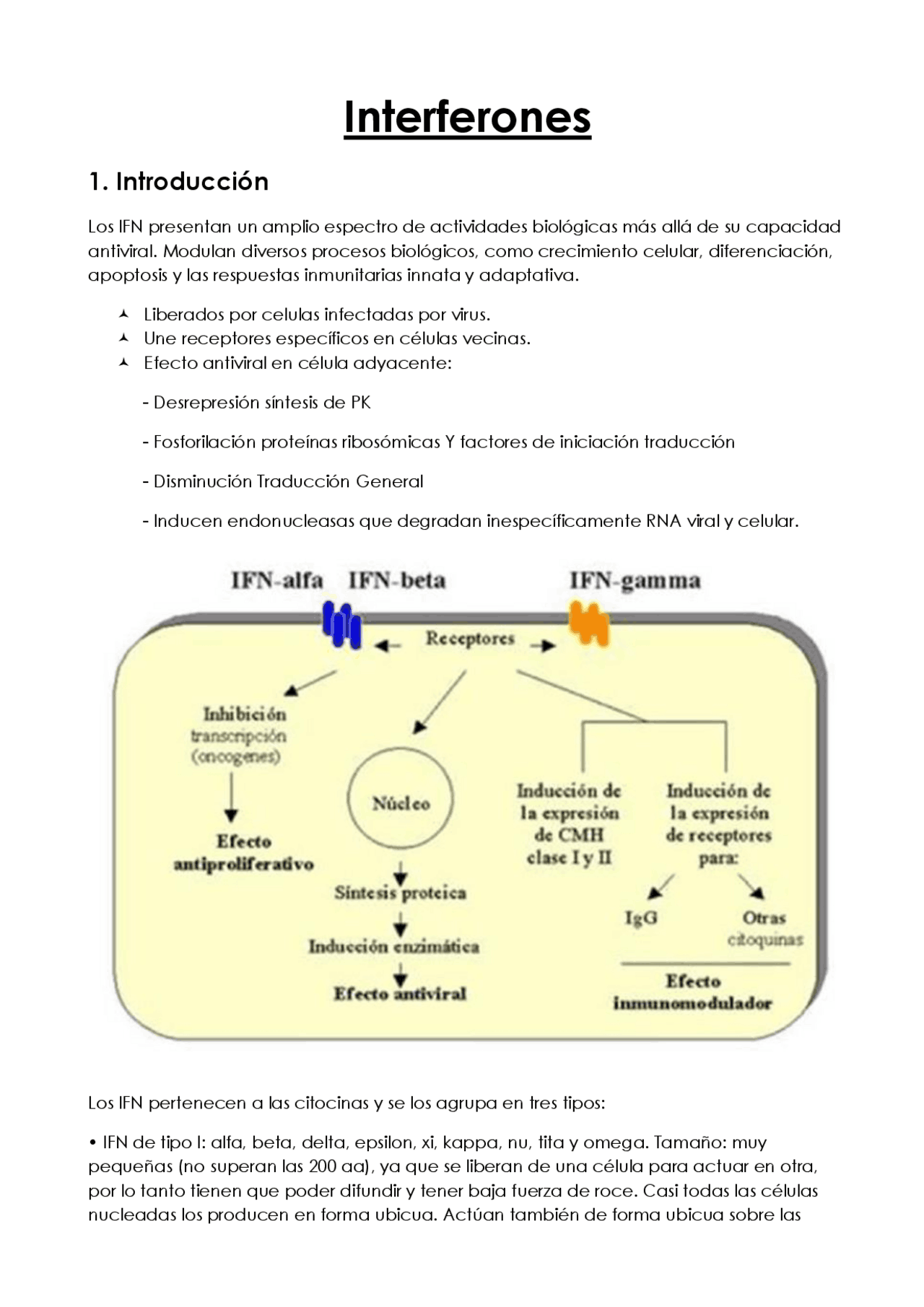 Interferones y su papel en la respuesta inmunitaria | Apuntes de ...