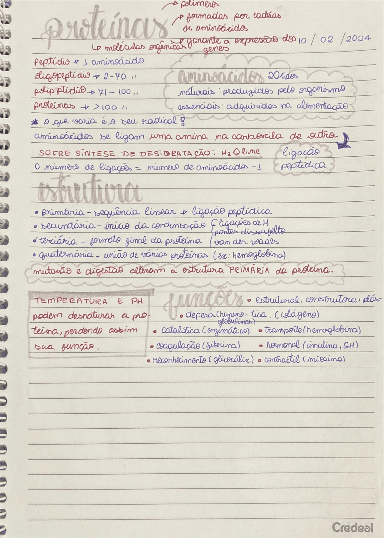 Proteínas resumo completo | Esquemas Biologia | Docsity