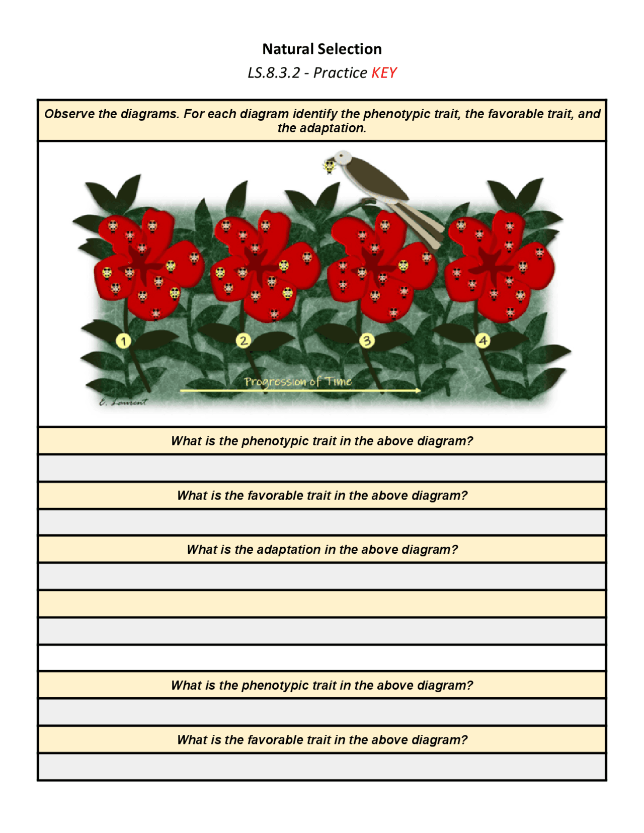 Natural Selection Practice Activity | Exercises Environmental science ...