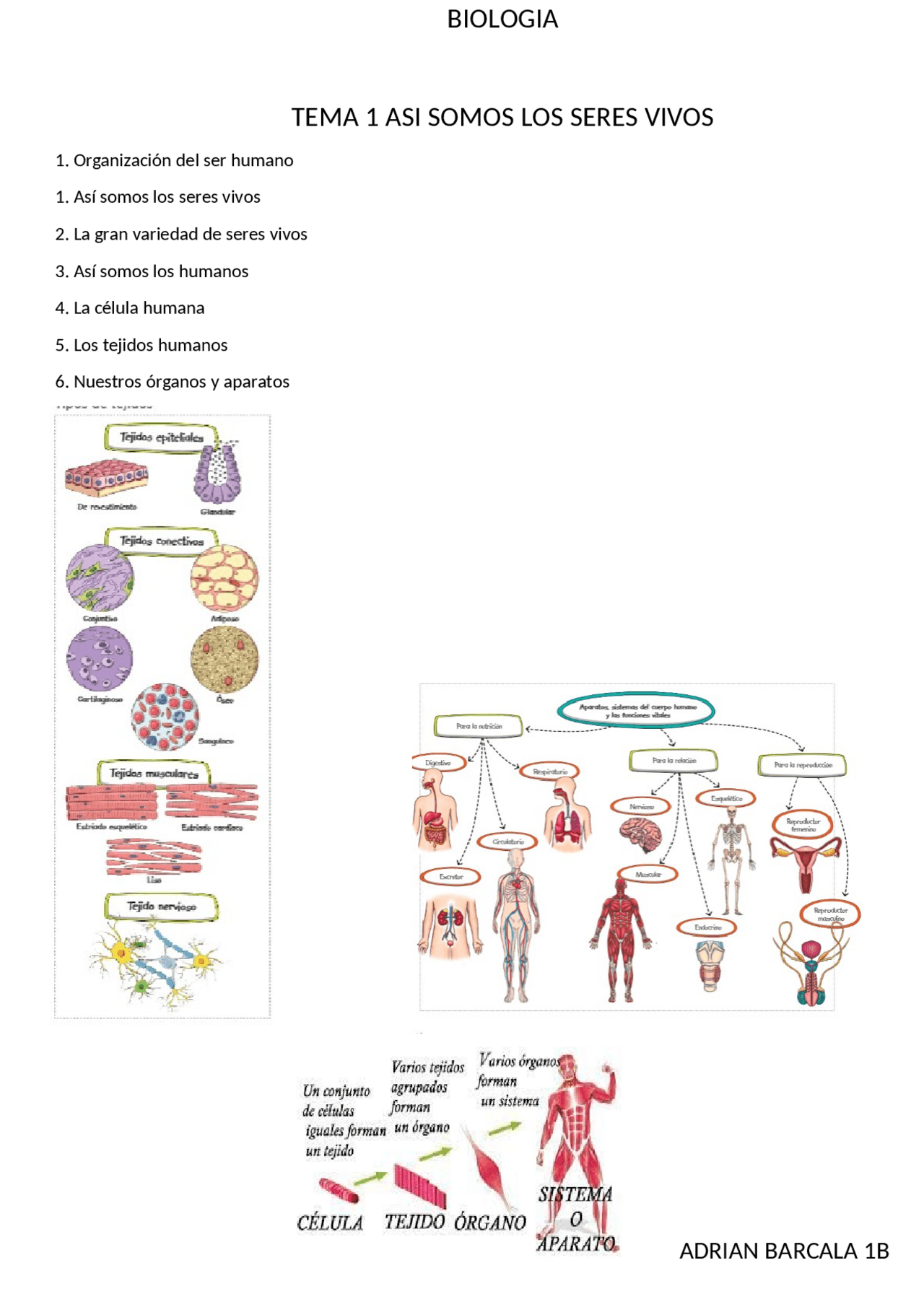 biologia tema 1 ser vivo | Apuntes de Biología | Docsity