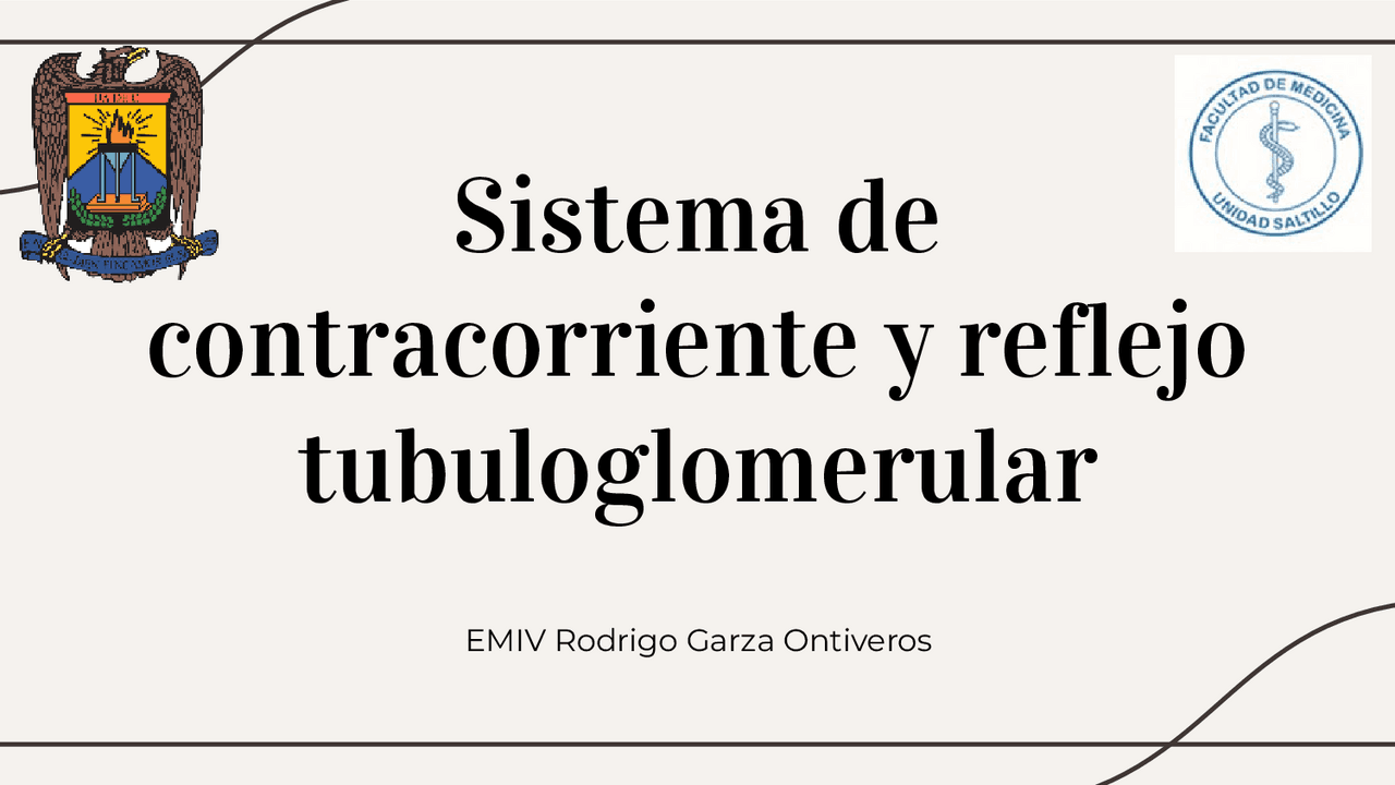 Sistema contracorriente | Apuntes de Nefrología | Docsity