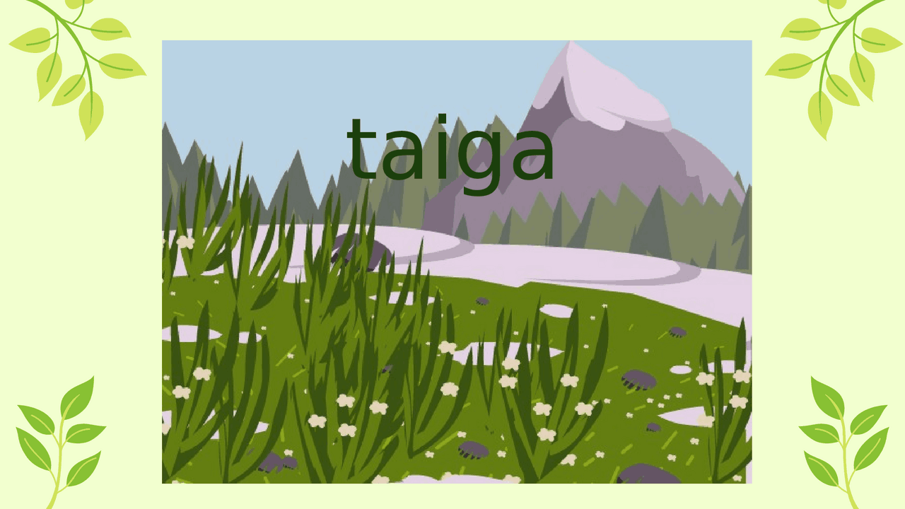 Características del bioma Taiga | Diapositivas de Ciencias de la Tierra ...