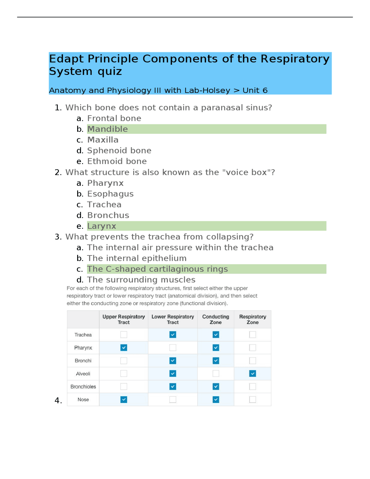 Quiz Questions on the Anatomy and Physiology of the Respiratory System ...