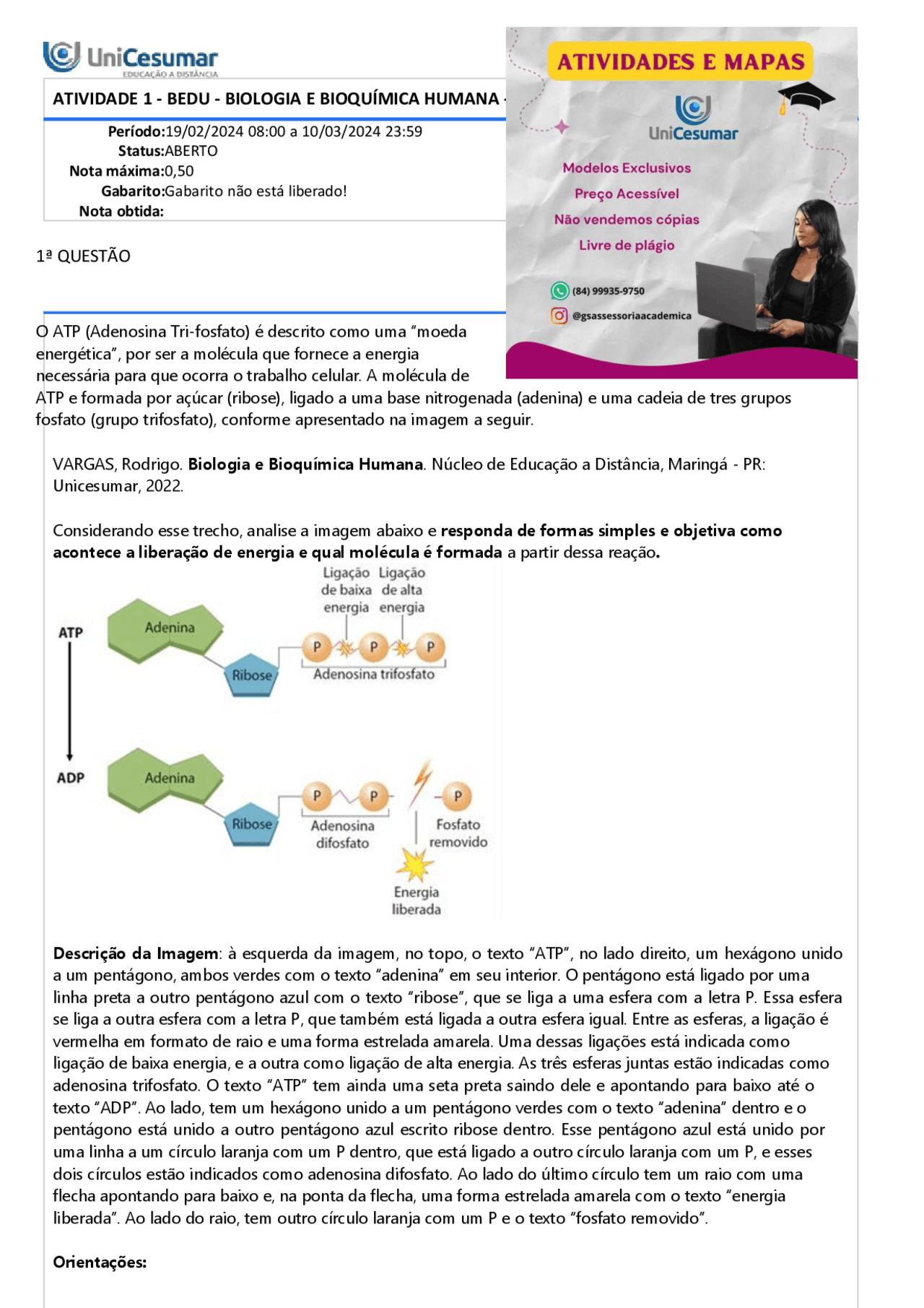 Atividades e Mapas Unicesumar Módulo 51/2024 | Exercícios Ciência da Atividade Física e do ...