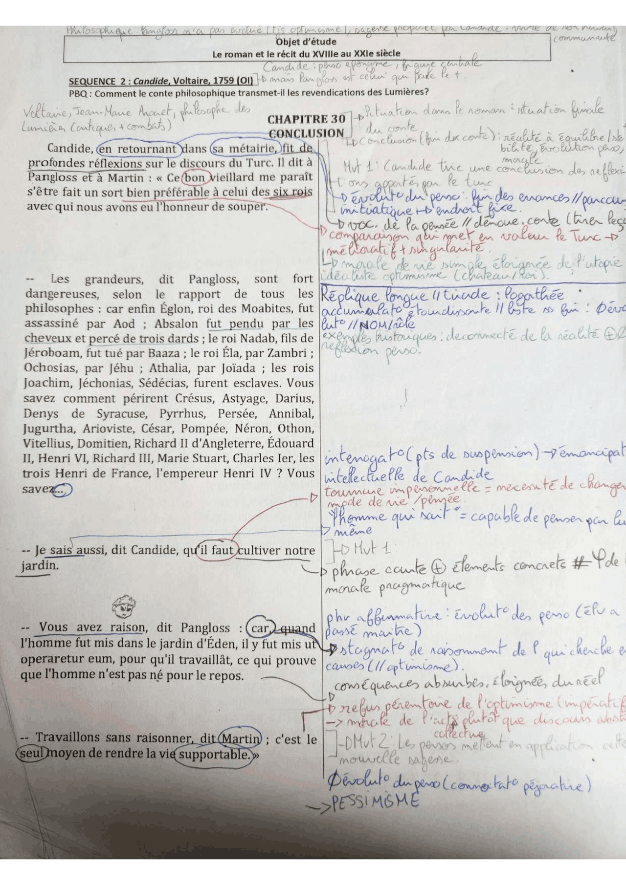 Explication linéaire chap 30 Candide de Voltaire | Notes Français | Docsity