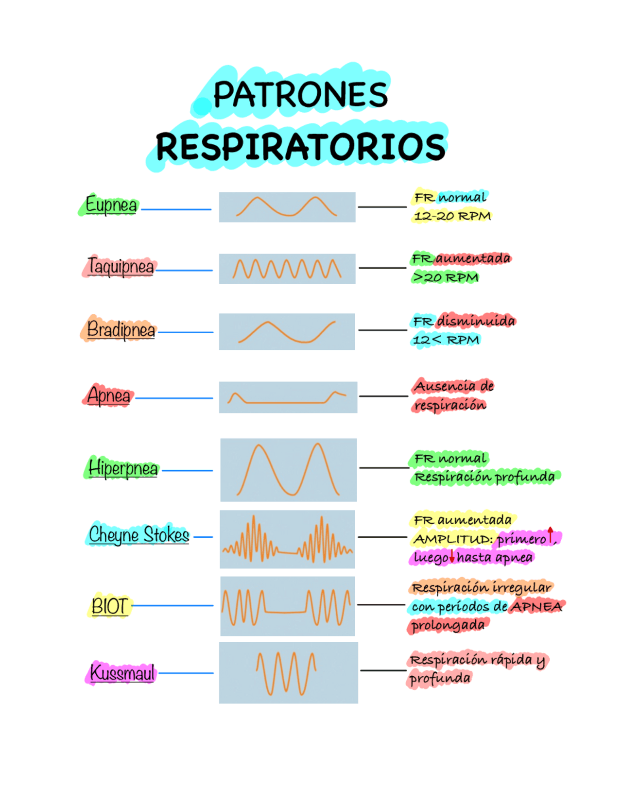 esquema sobre los patrones respiratorios | Esquemas y mapas conceptuales de Medicina | Docsity