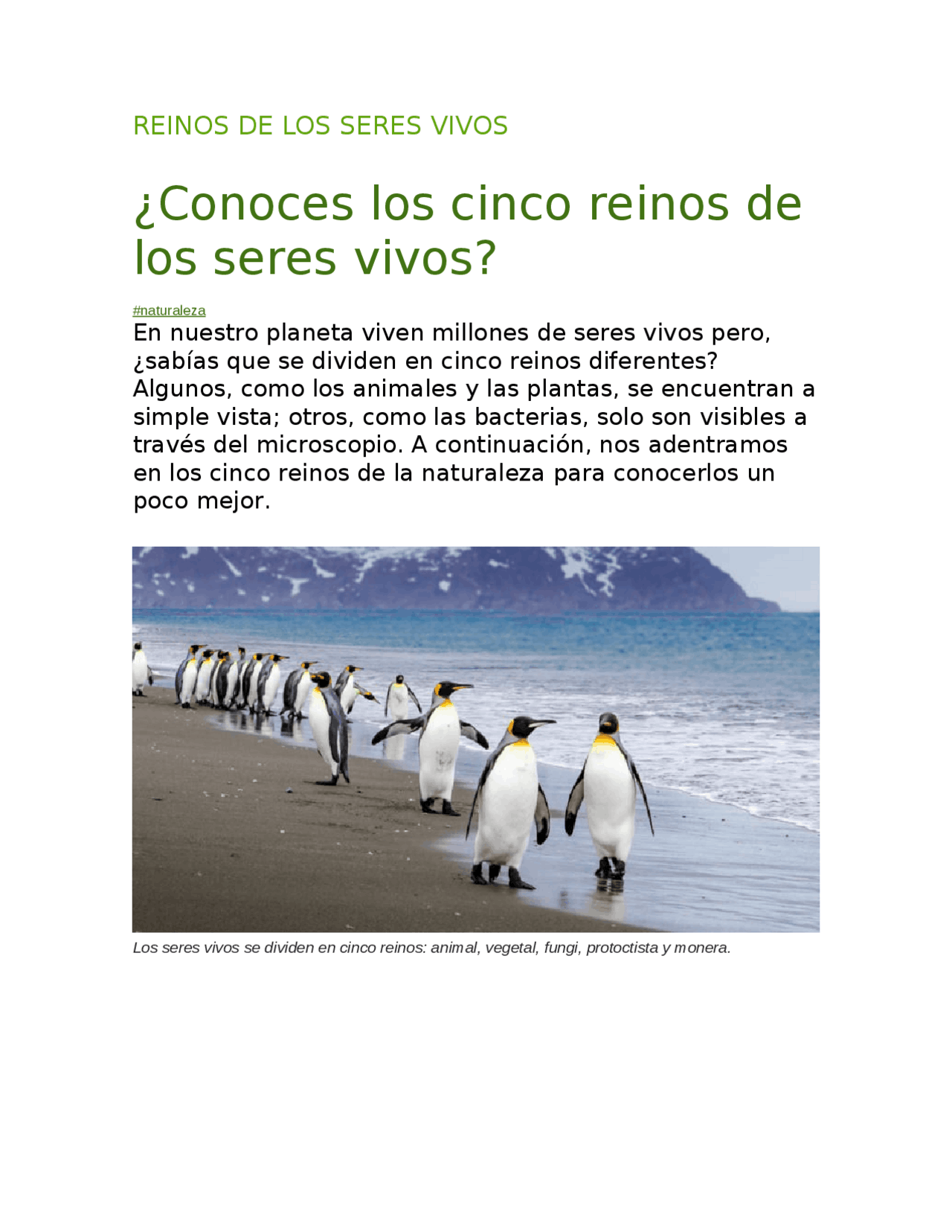 Los cinco reinos de los seres vivos: una introducción | Monografías ...