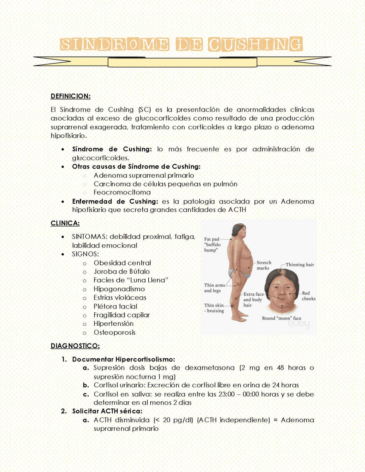 Síndrome de Cushing, Harrison | Apuntes de Endocrinología | Docsity
