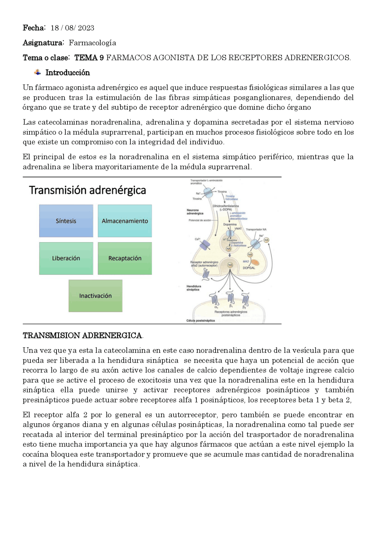 Farmacología de los receptores adrenérgicos: noradrenalina, adrenalina ...