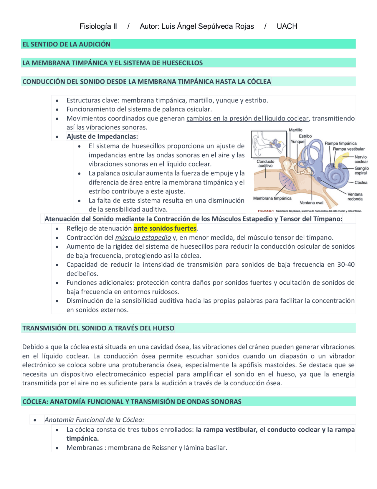 Resumen Fisiología de Guyton CAPÍTULO 53. | Resúmenes de Fisiología Humana | Docsity