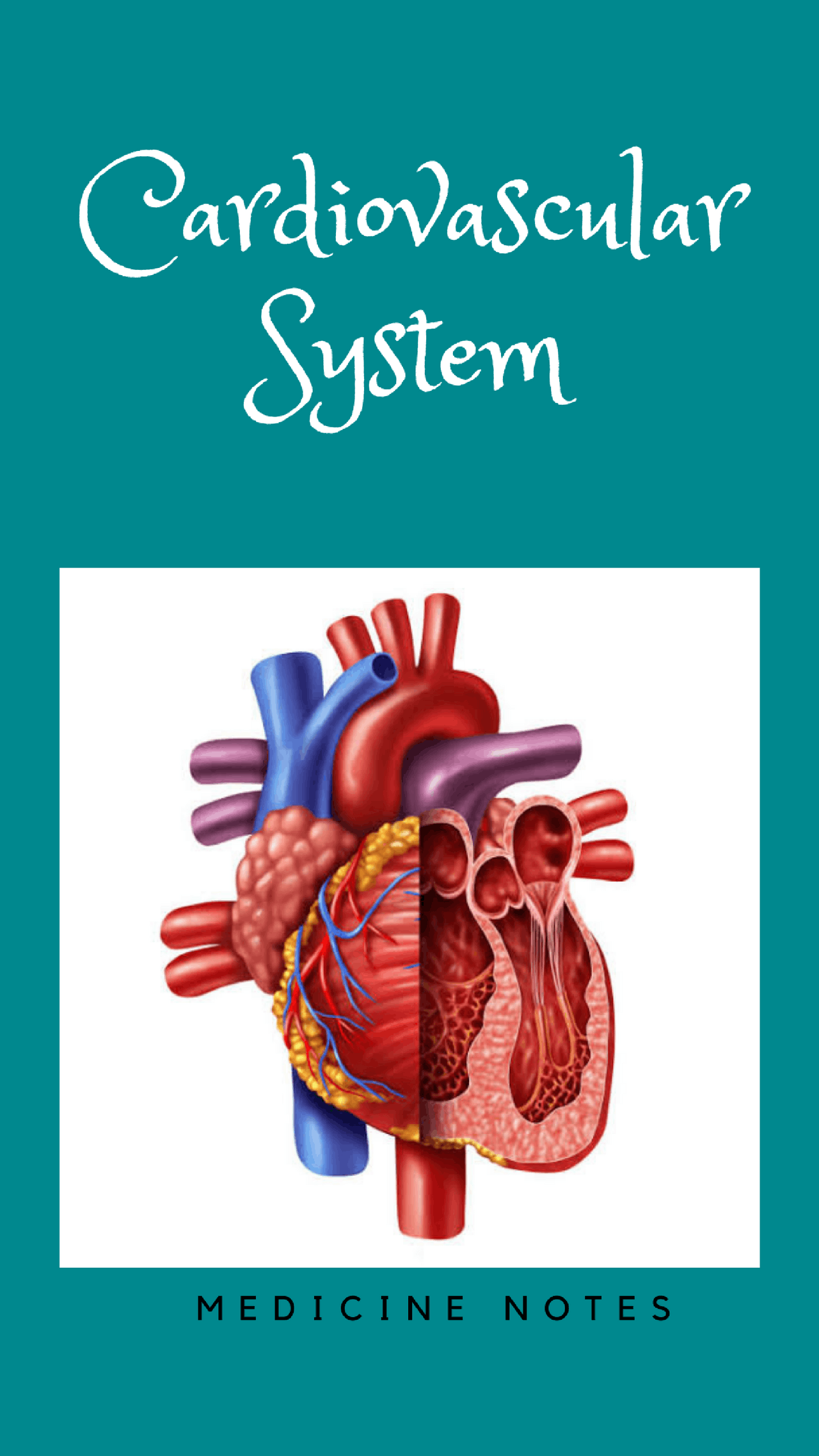 Cardiovascular System Notes: Exam Prep Essentials | Summaries Medicine ...