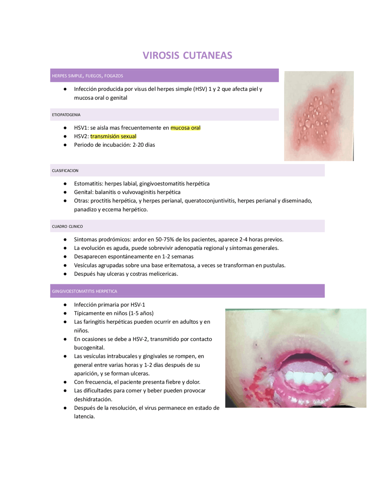 Virosis Cutáneas: Herpes Simples, Fuegos, Fogazos y Zoster | Resúmenes ...