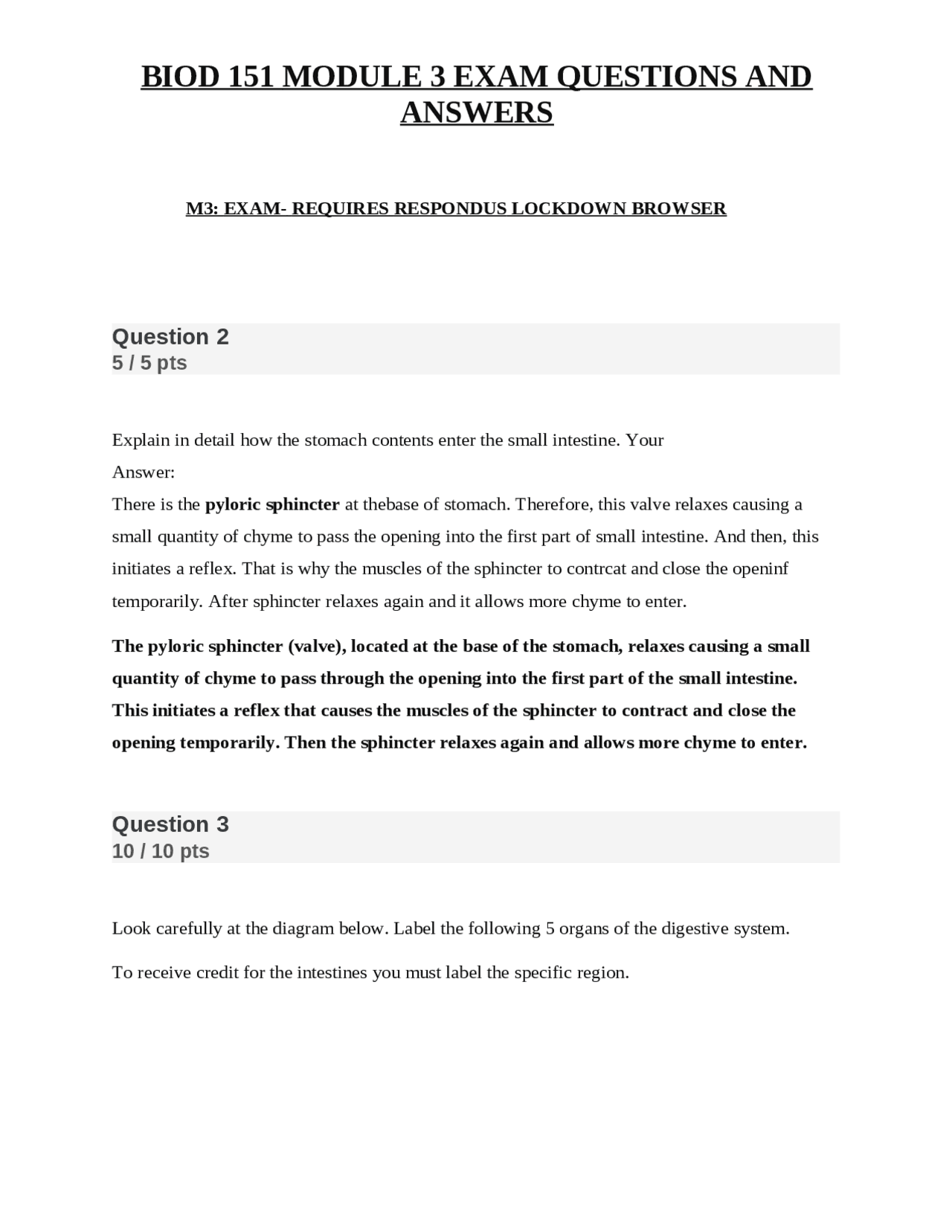 Understanding the Digestive System: Stomach and Intestine Functioning ...